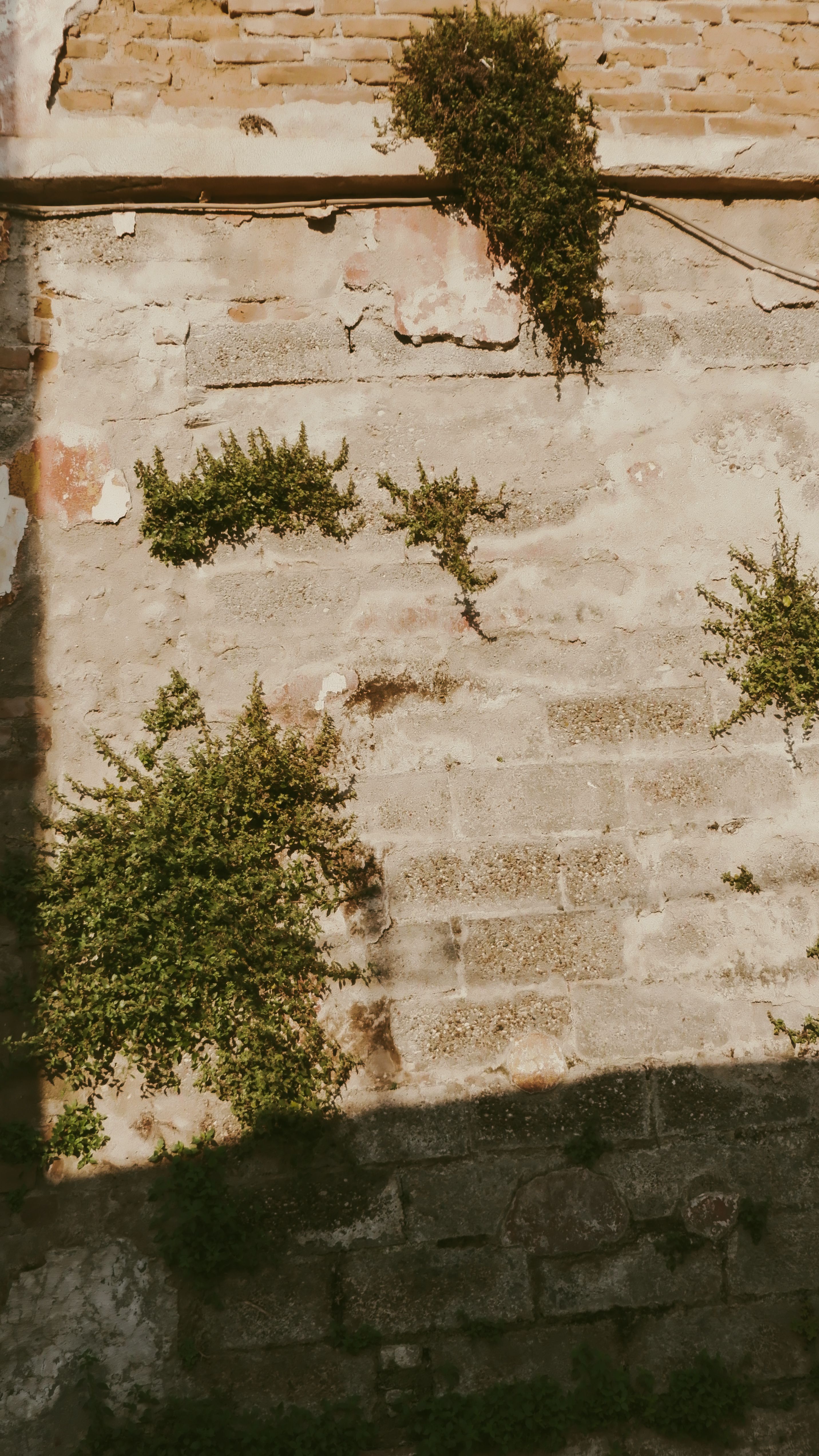 Seeing Stone Photos, Download The BEST Free Seeing Stone Stock Photos ...