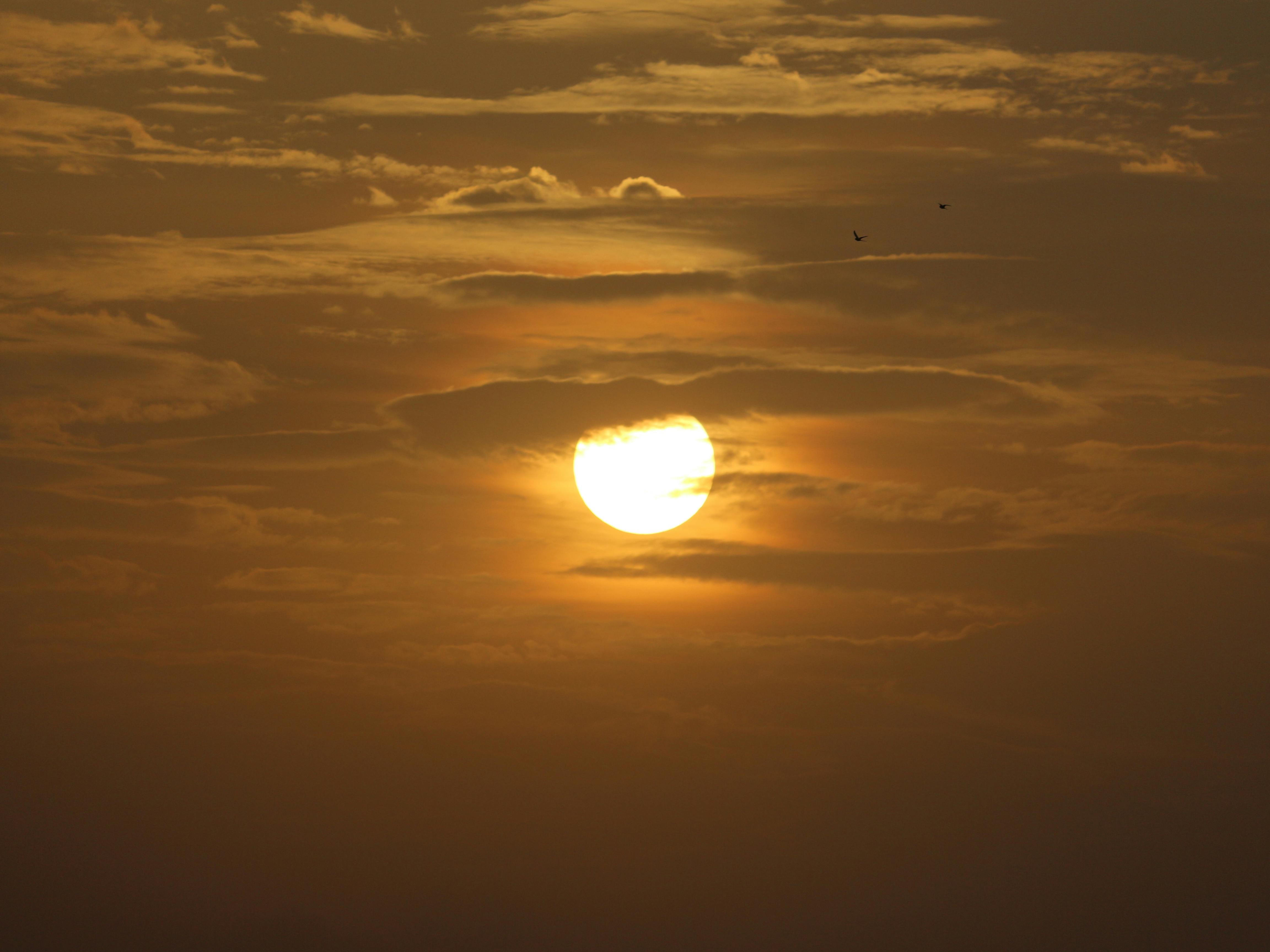 Scenic View of Sky at Night · Free Stock Photo