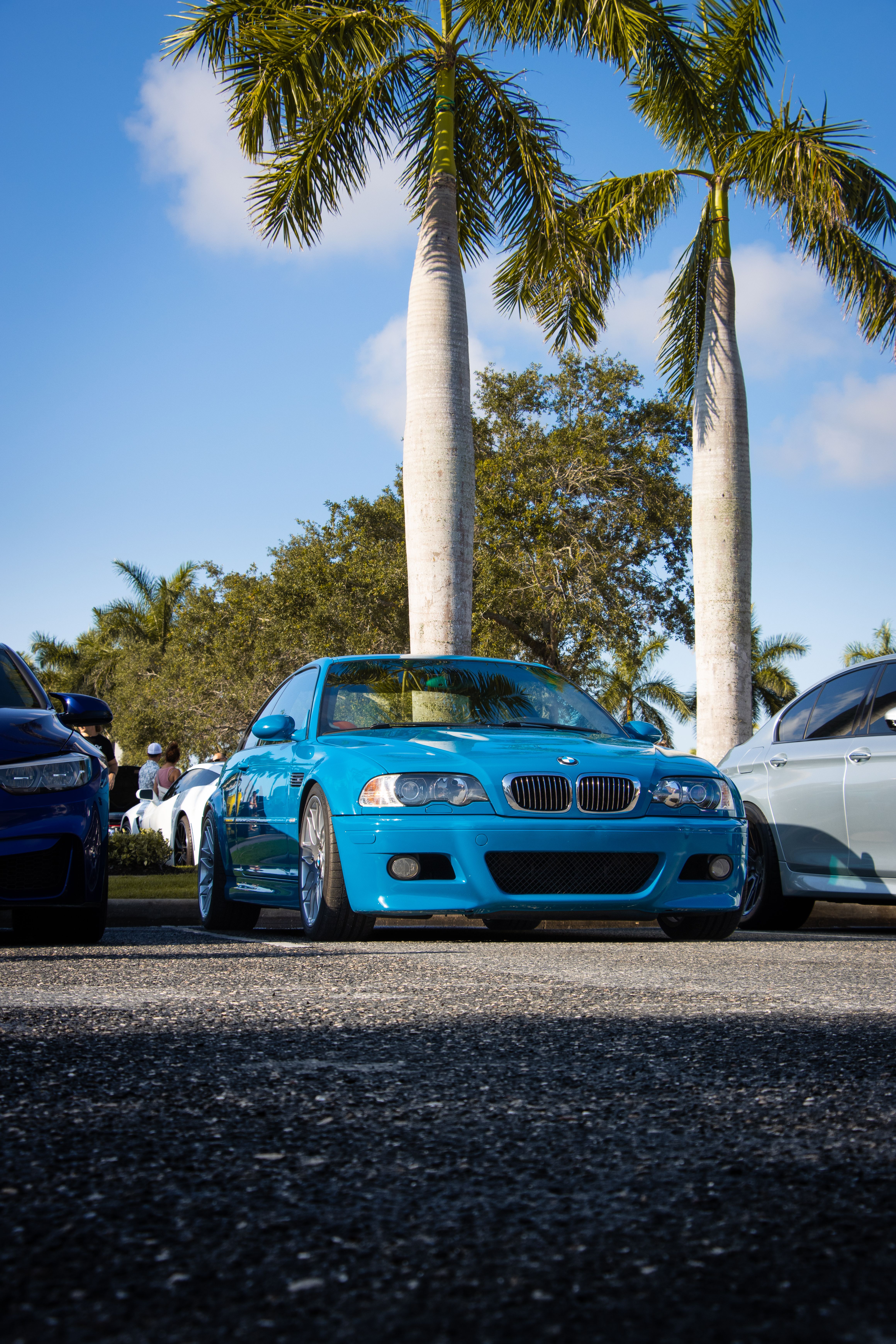 Blue BMW E46 Car Parked under Palm Trees · Free Stock Photo