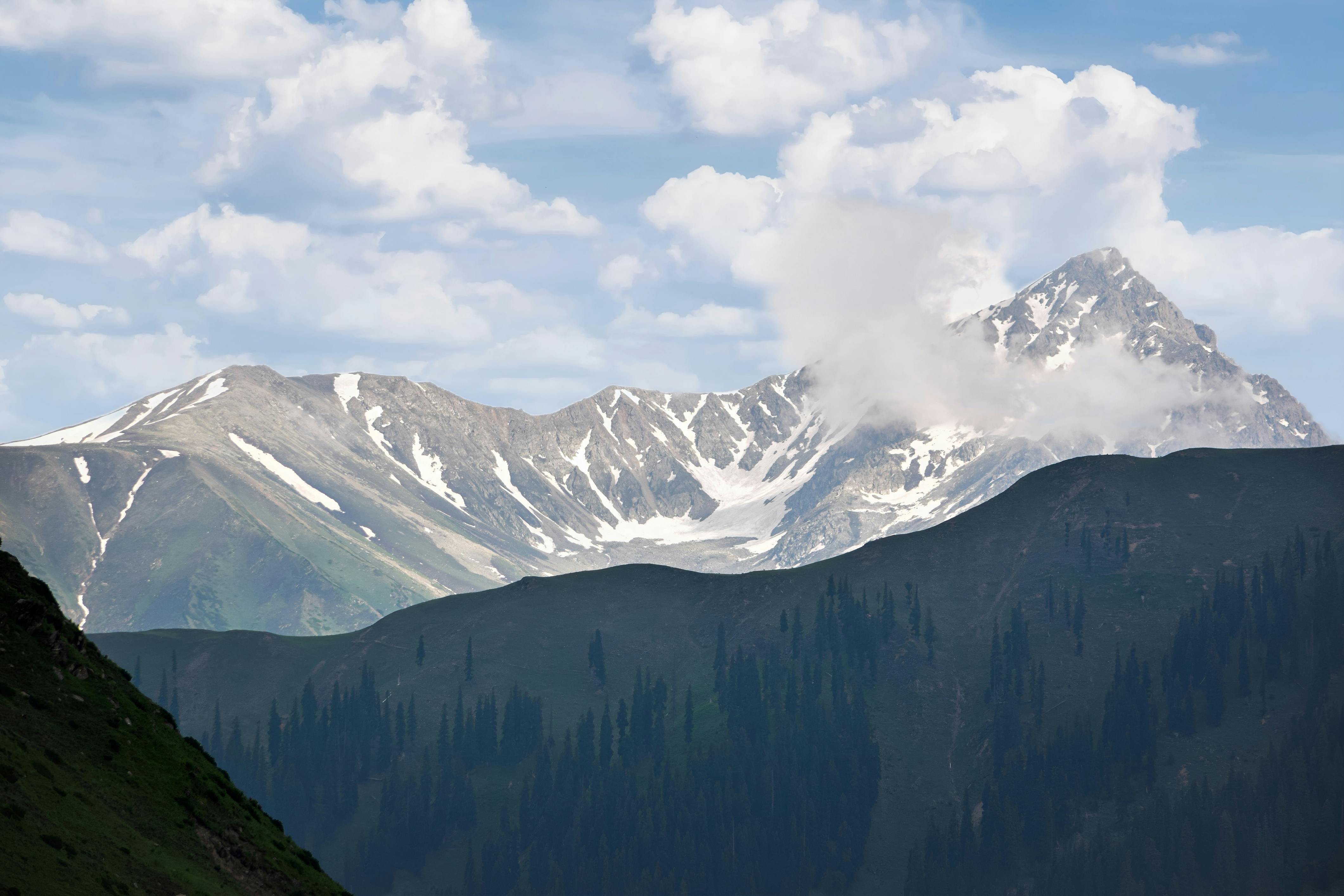 Pexel Captures - Photography