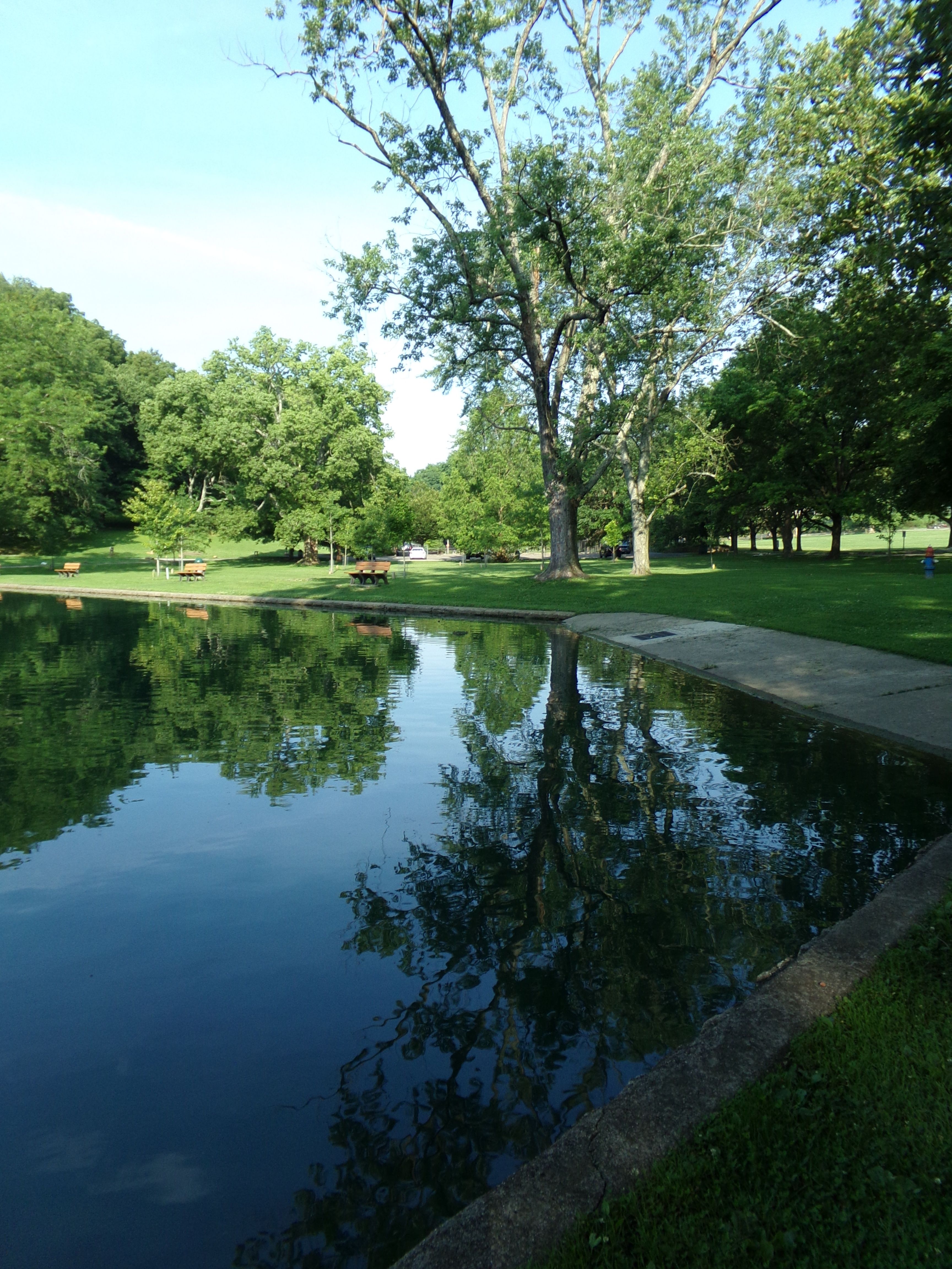 Trees Reflecting in a Placid Pond at an Urban Park · Free Stock Photo