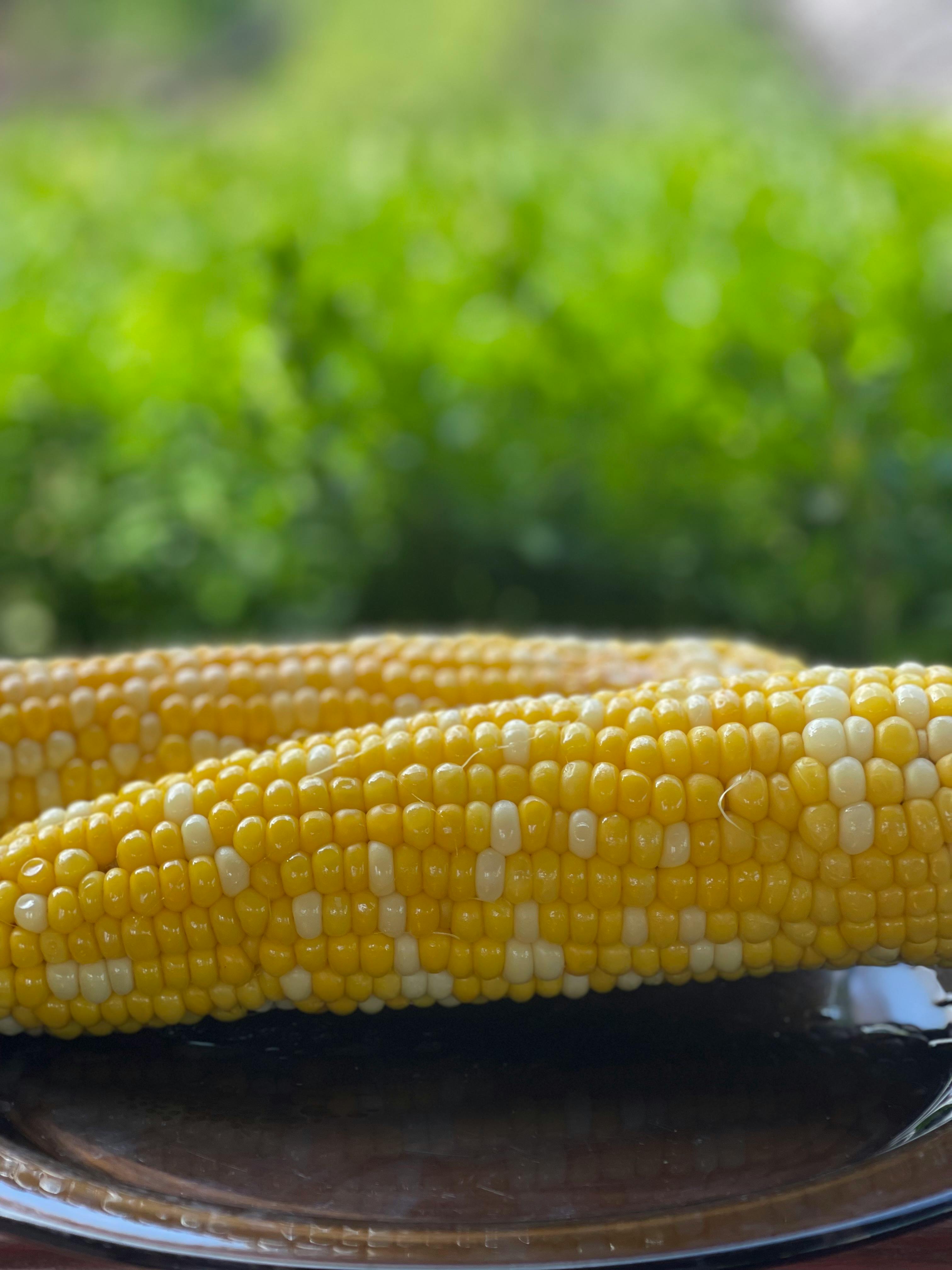 Corn 002a3a Photos, Download The BEST Free Corn 002a3a Stock Photos ...