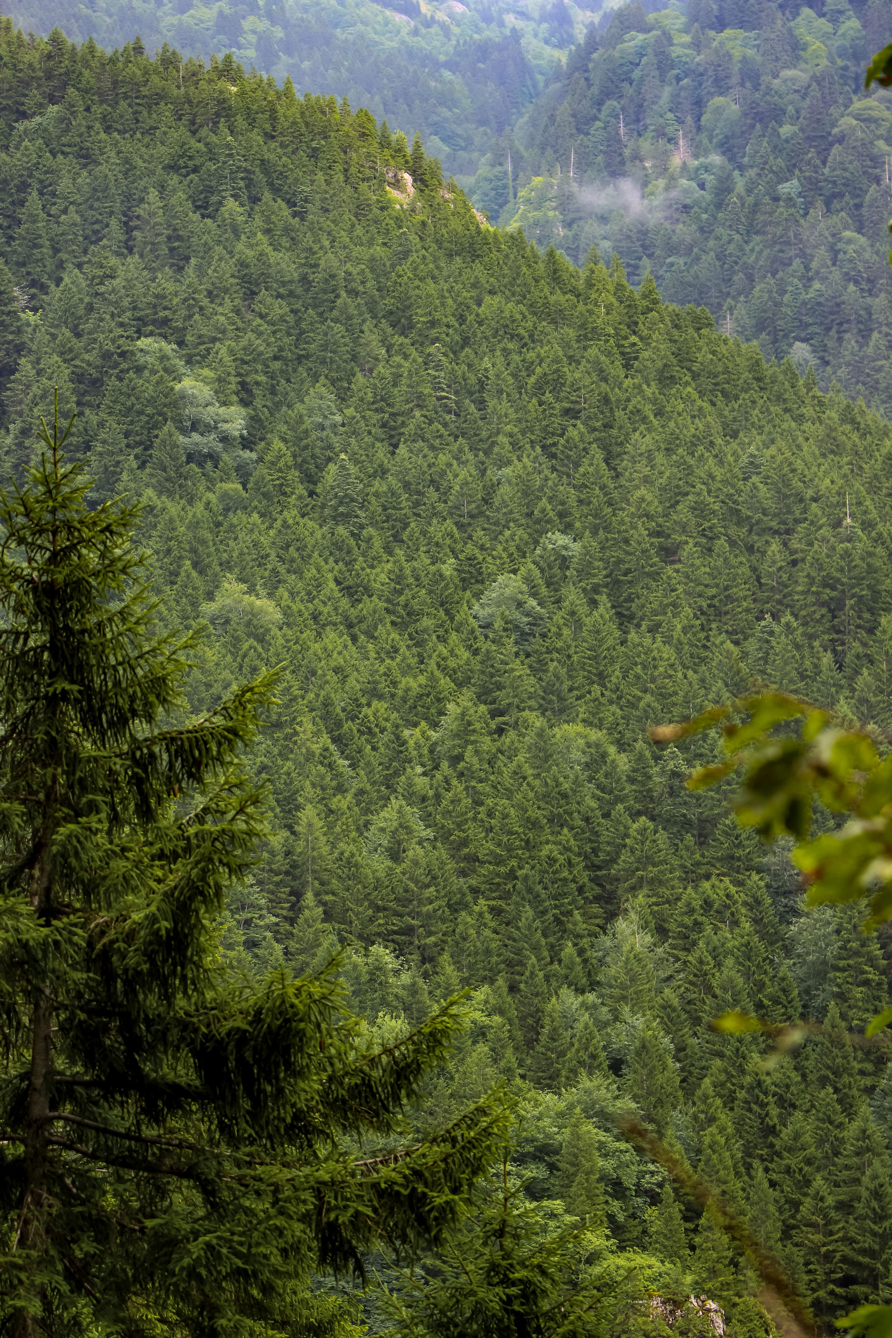 Free stock photo of adventure, alpine, alpine region, clouds ...