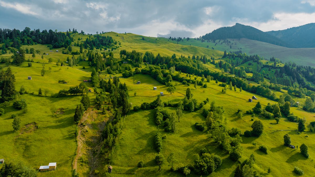 Pix' Photos, Download The BEST Free Pix' Stock Photos & HD Images