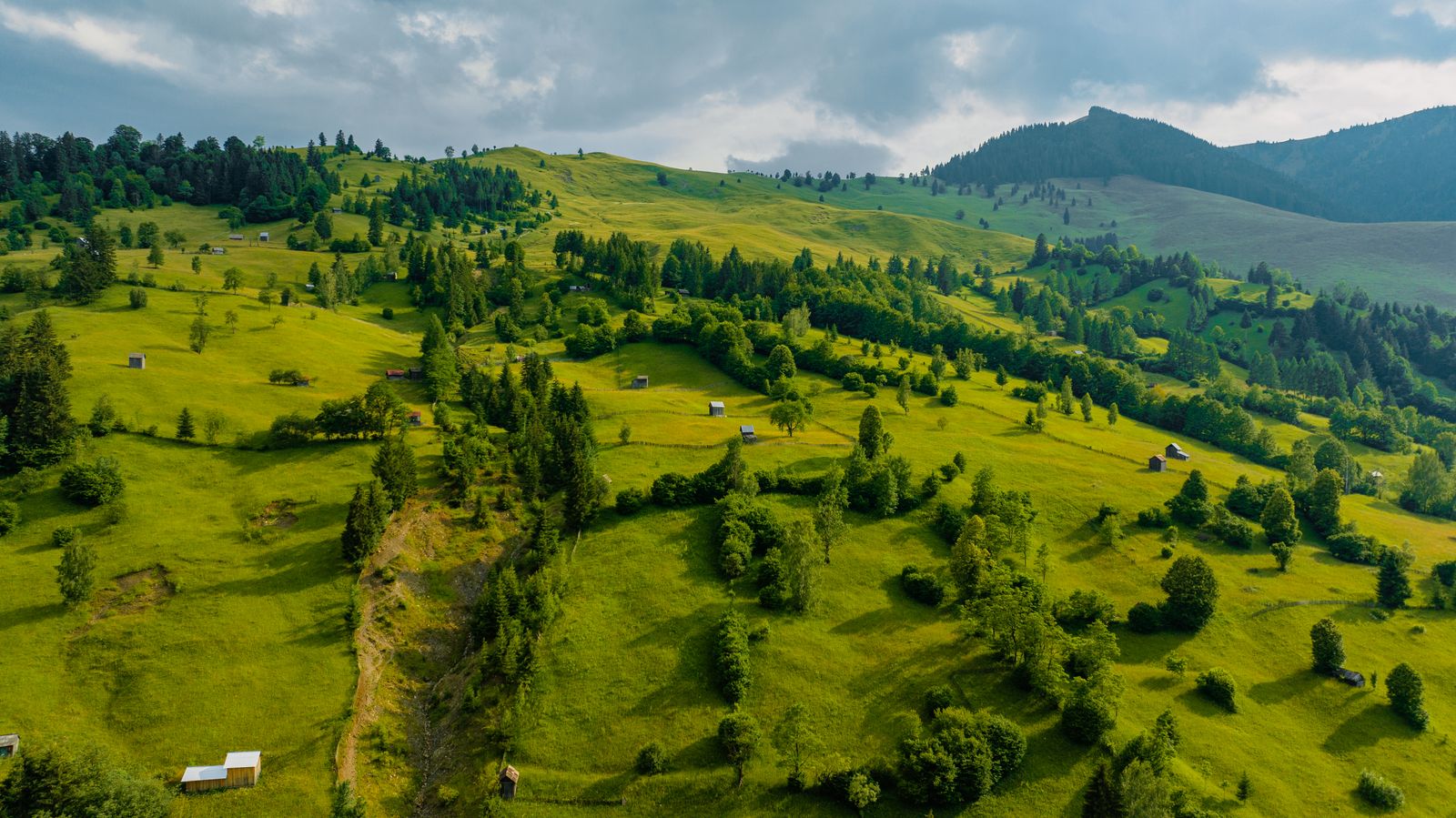 Pix Photos, Download The BEST Free Pix Stock Photos & HD Images