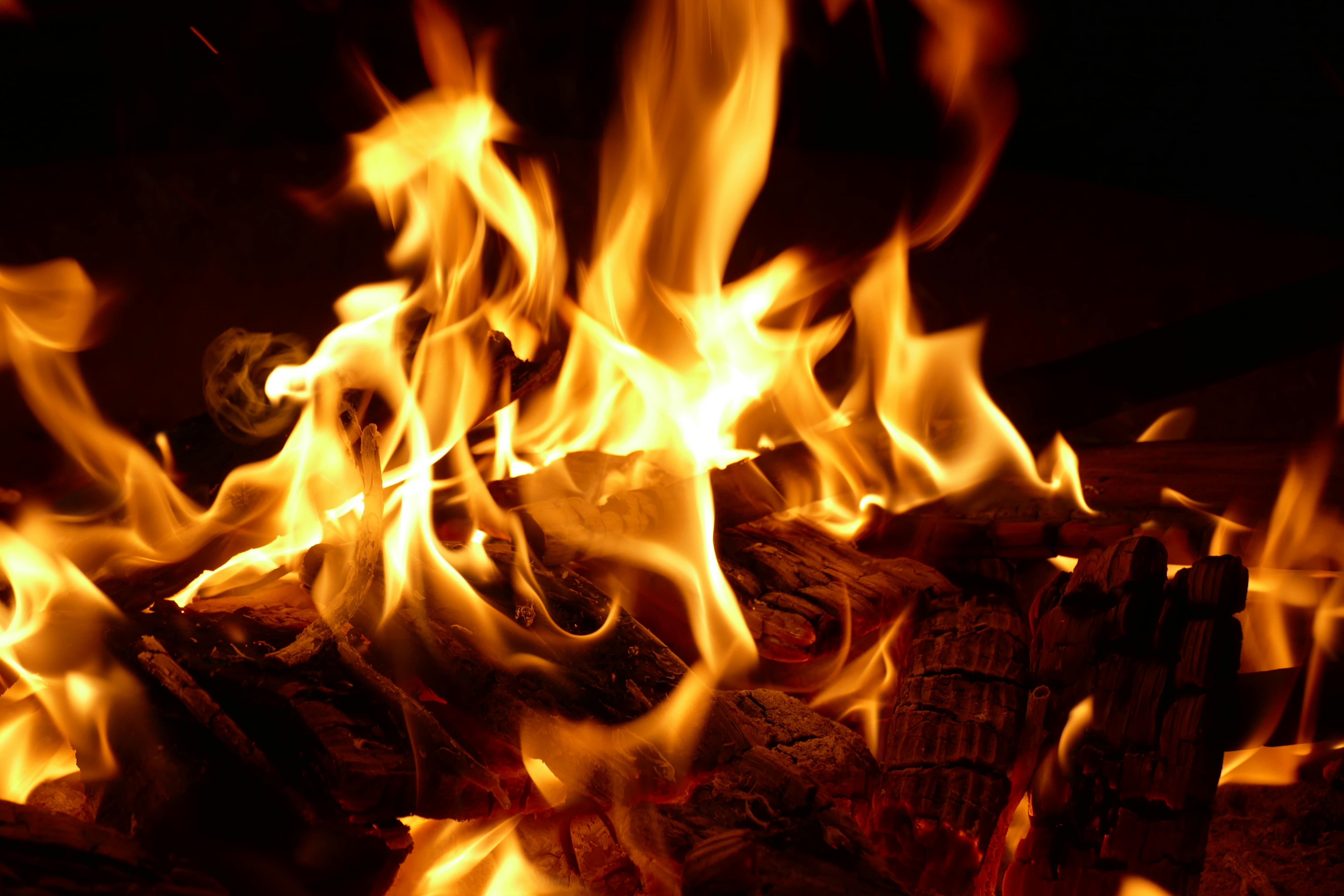 Flames of Bonfire · Free Stock Photo