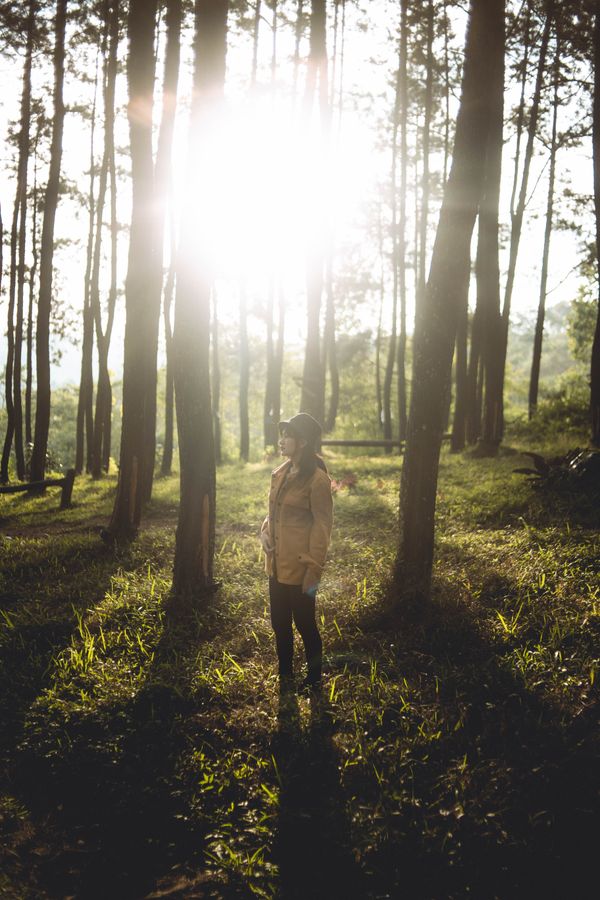 Green Writer Photos, Download The BEST Free Green Writer Stock Photos ...