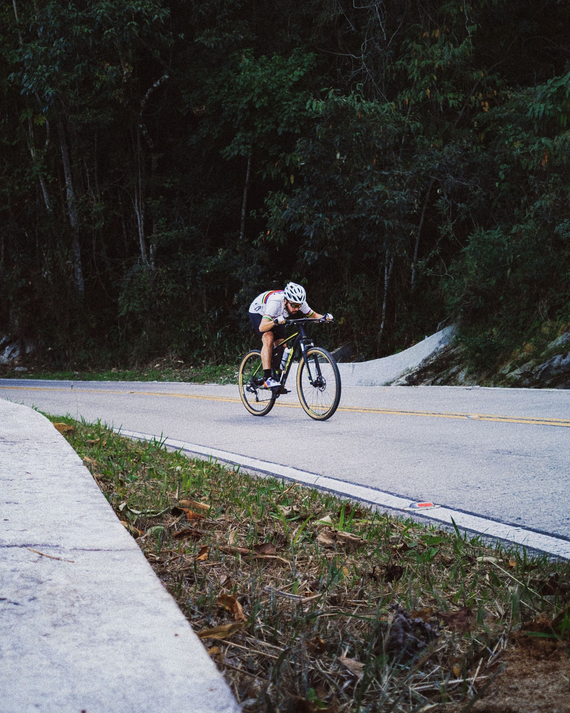 Cyclist Going Downhill · Free Stock Photo