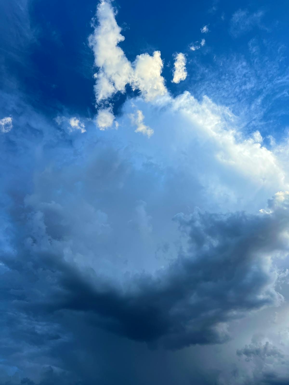 Bat Cloud Photos, Download The BEST Free Bat Cloud Stock Photos & HD Images