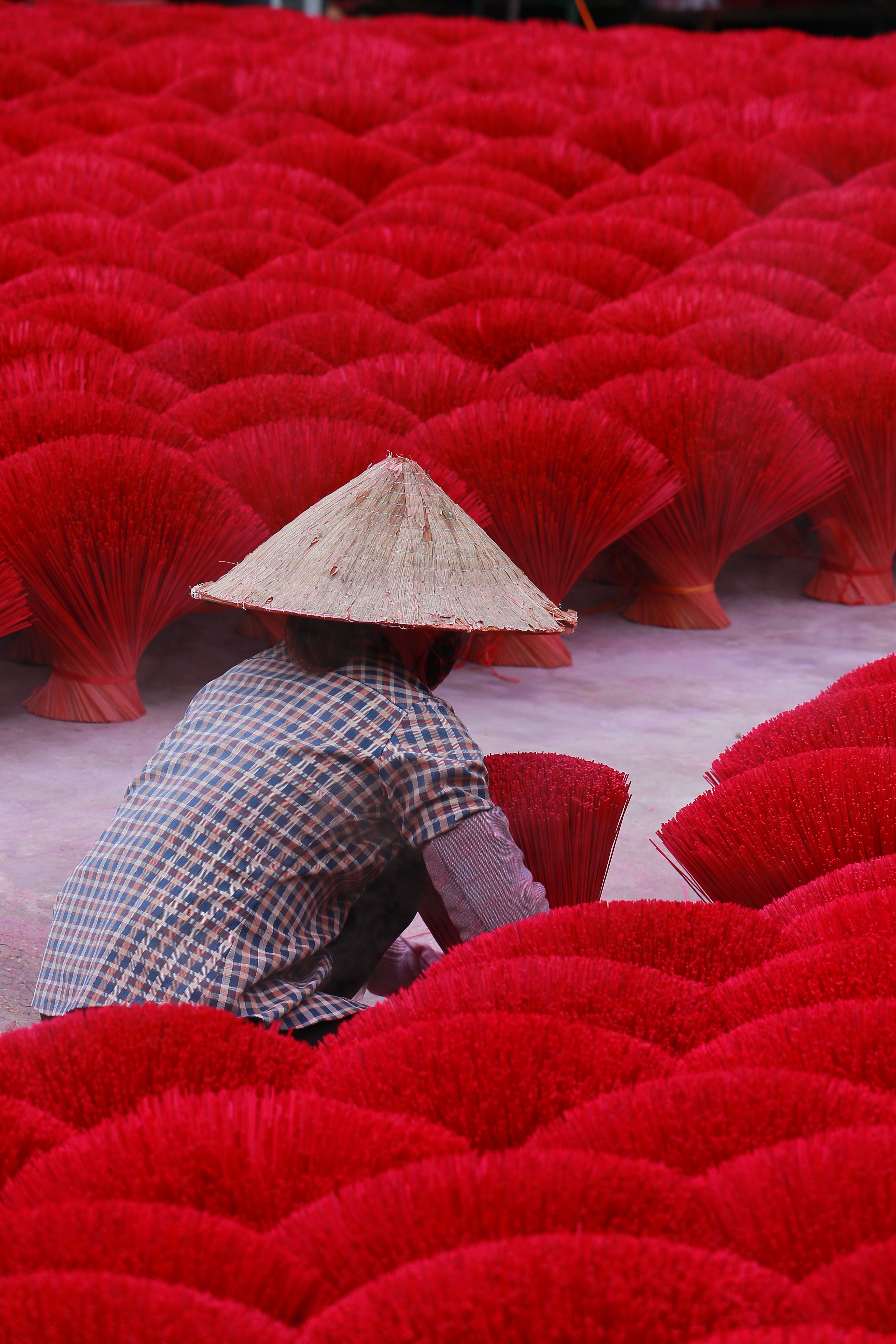 Woman Working on Red Incense Field · Free Stock Photo