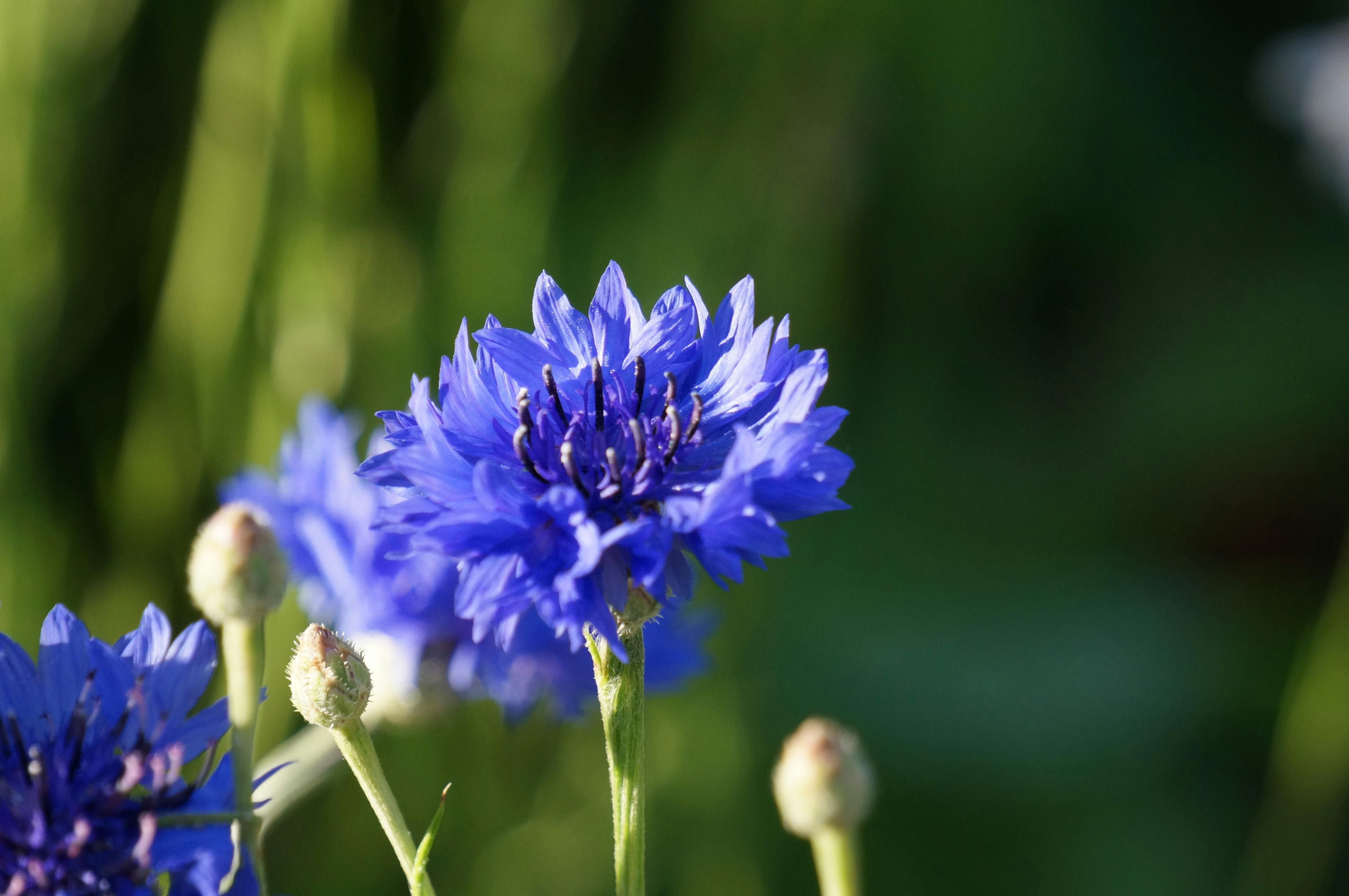 Tony Rogers – Fotografie