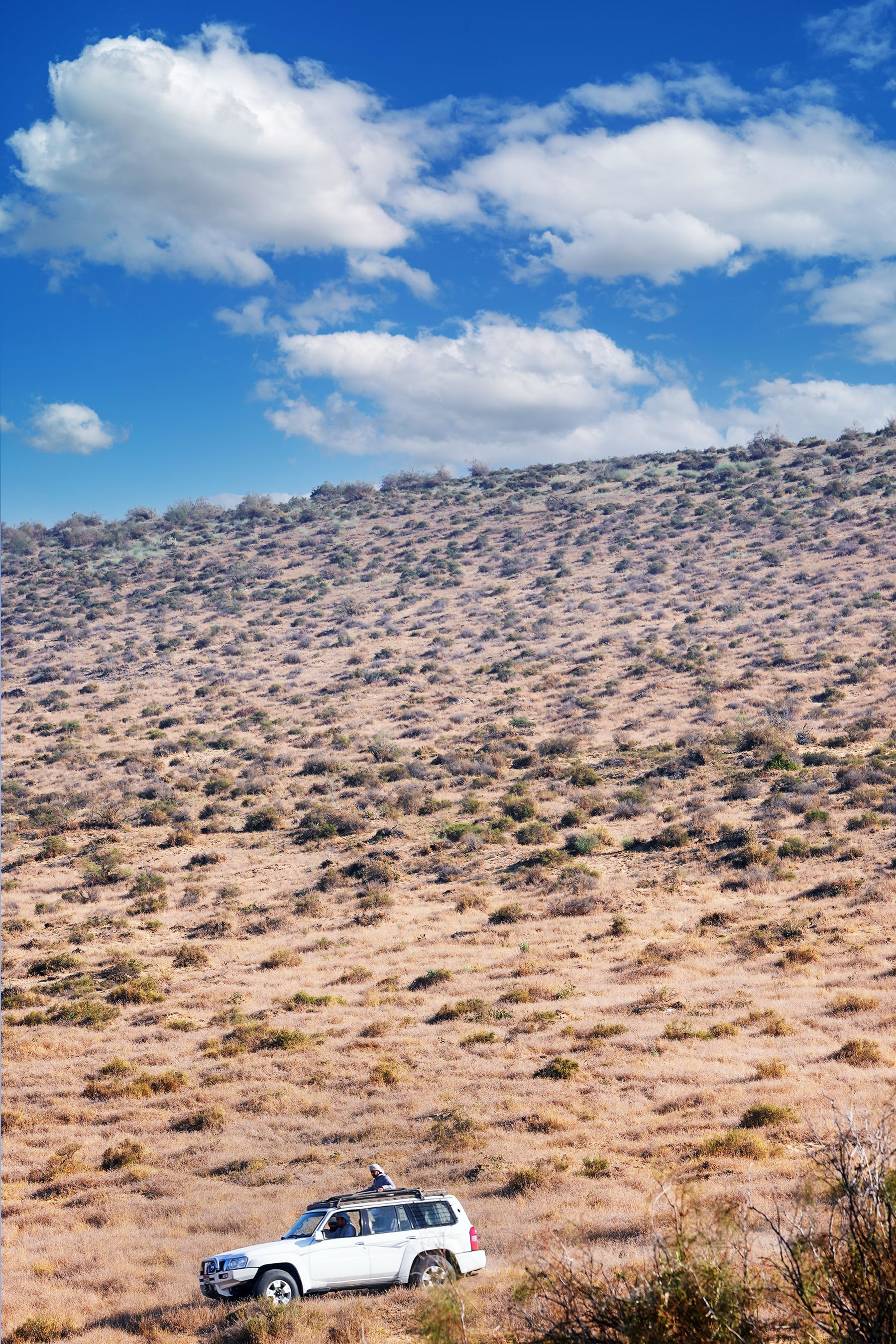 Brown Sandy Field Under Blue and White Cloudy Sky · Free Stock Photo