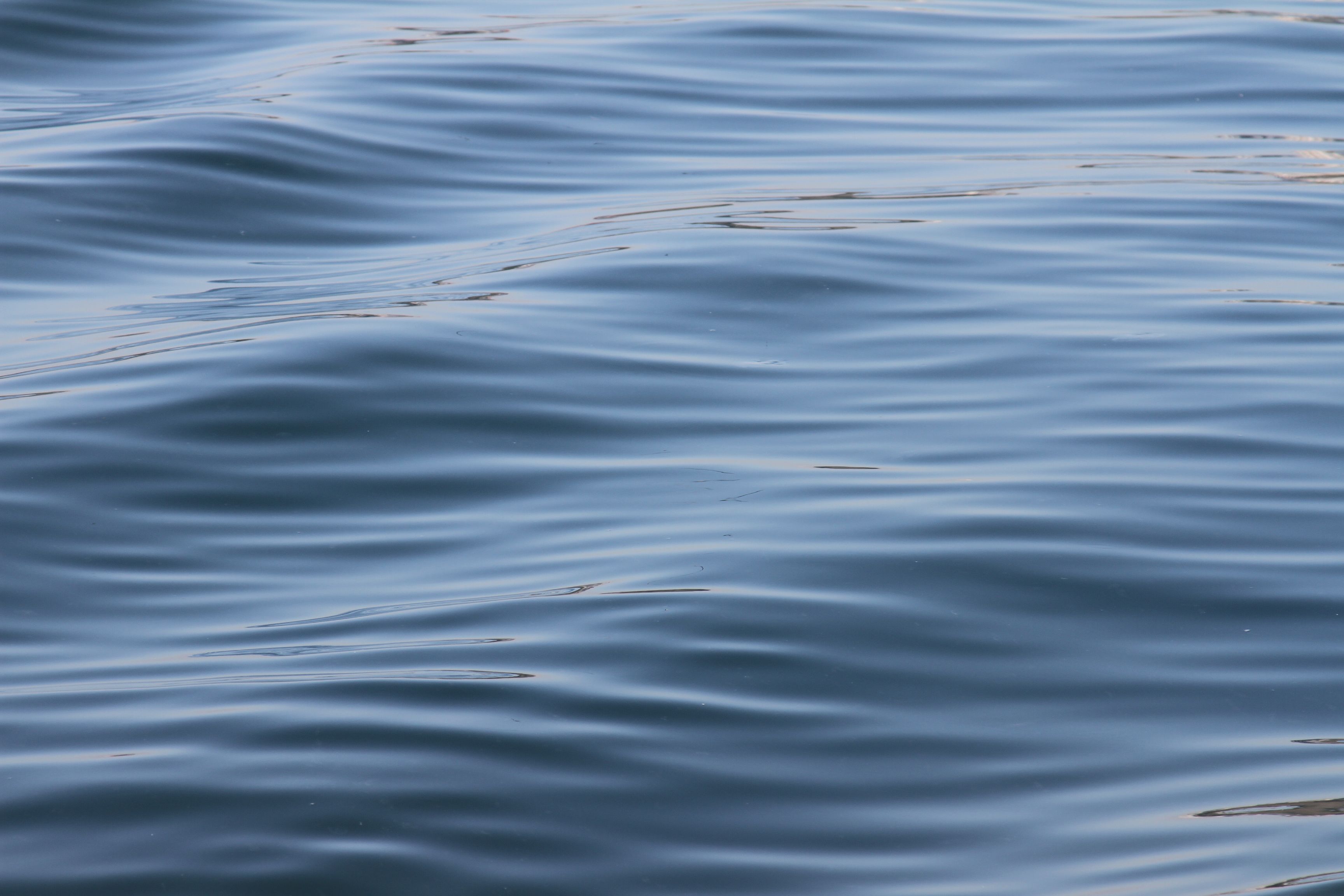 Blue Sea Surface Free Stock Photo