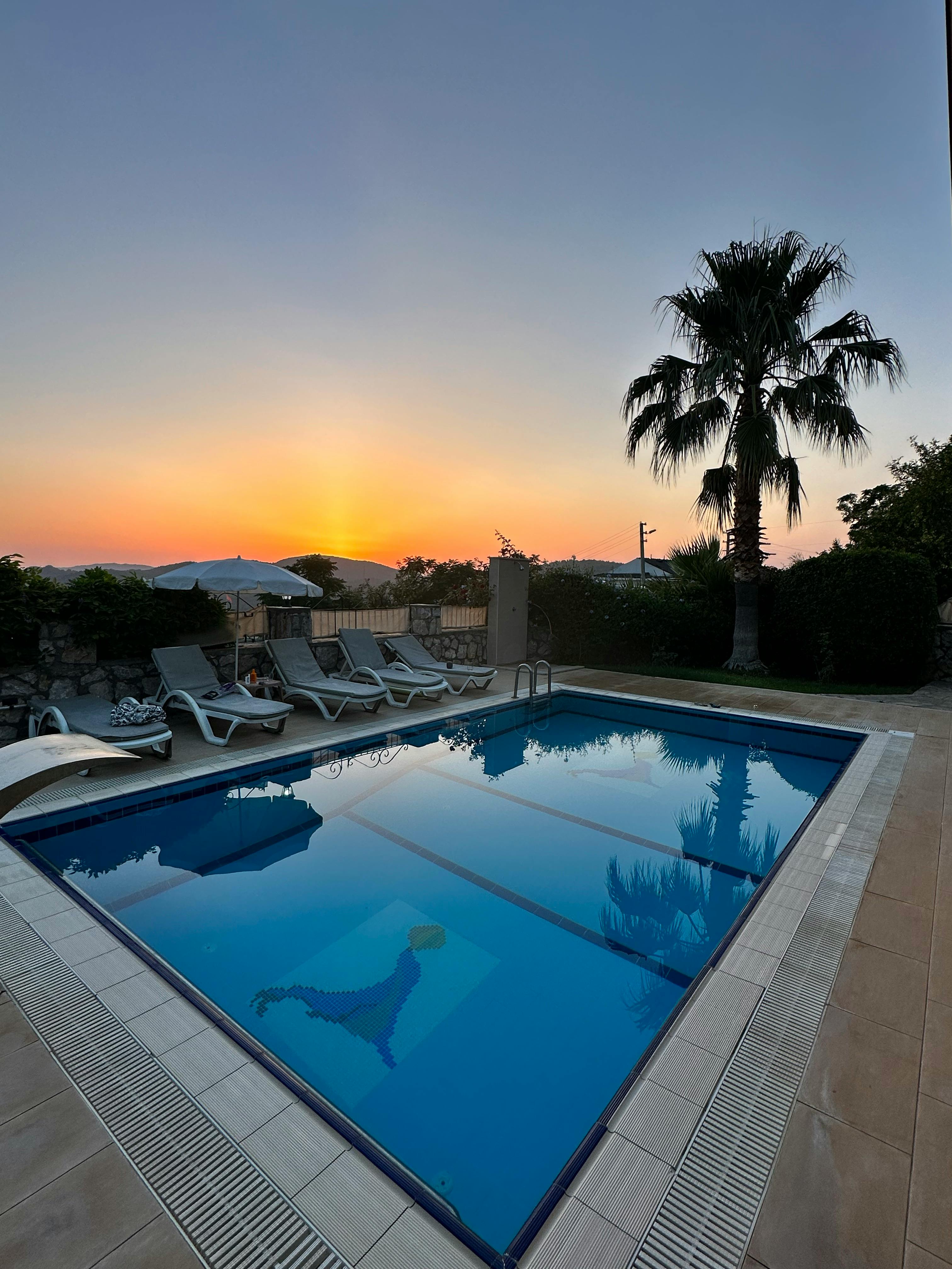 Swimming Pool at Dusk · Free Stock Photo