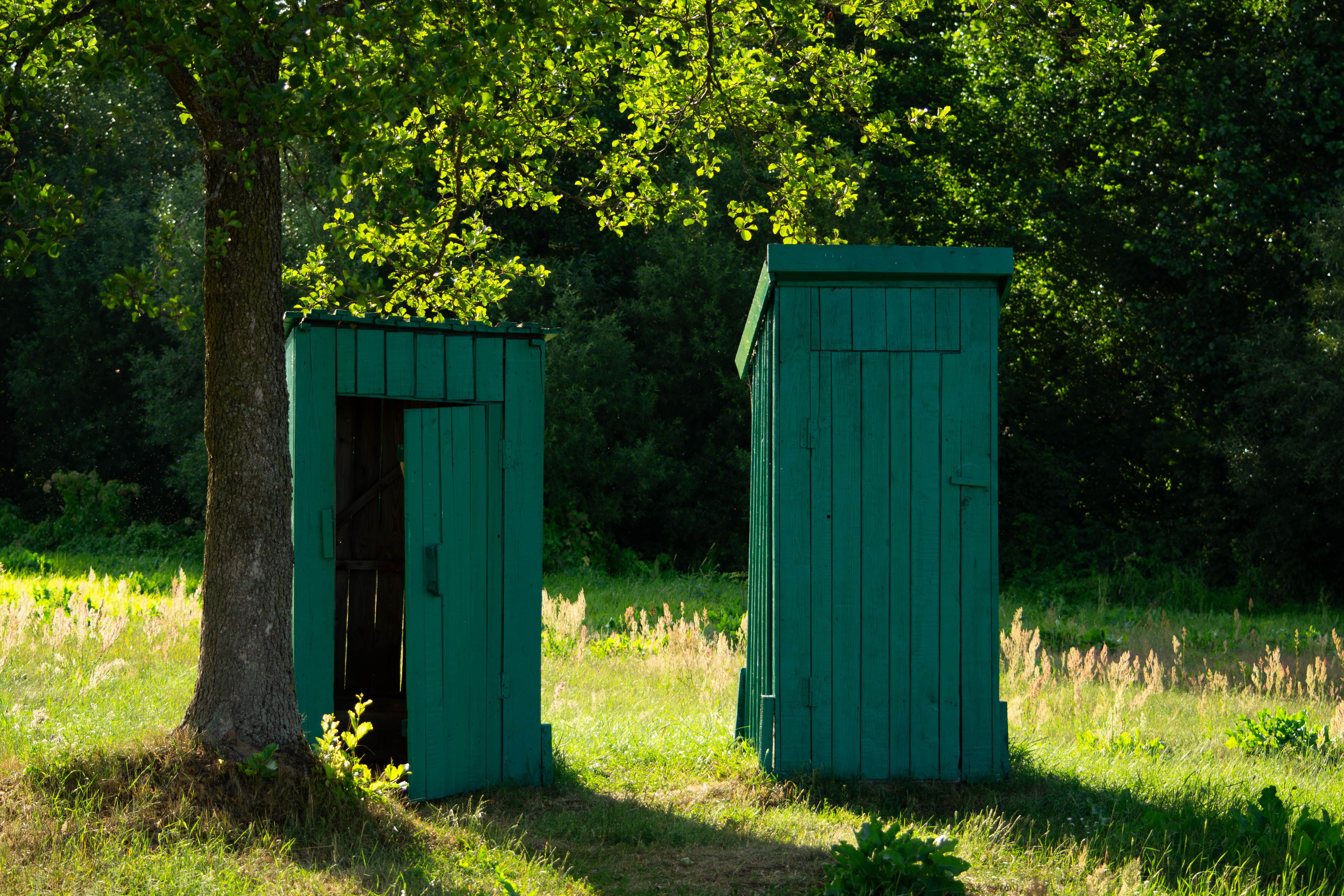 Small Wooden Huts on the Field · Free Stock Photo