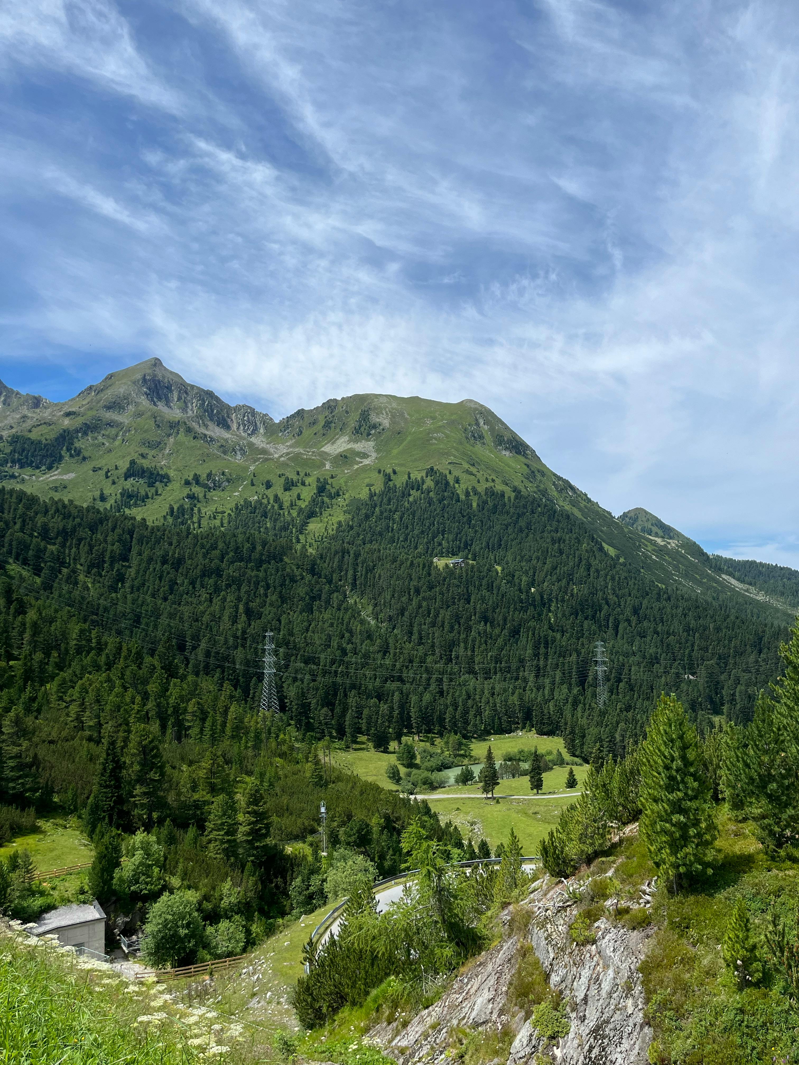 Greenery Plot Photos, Download The BEST Free Greenery Plot Stock Photos ...