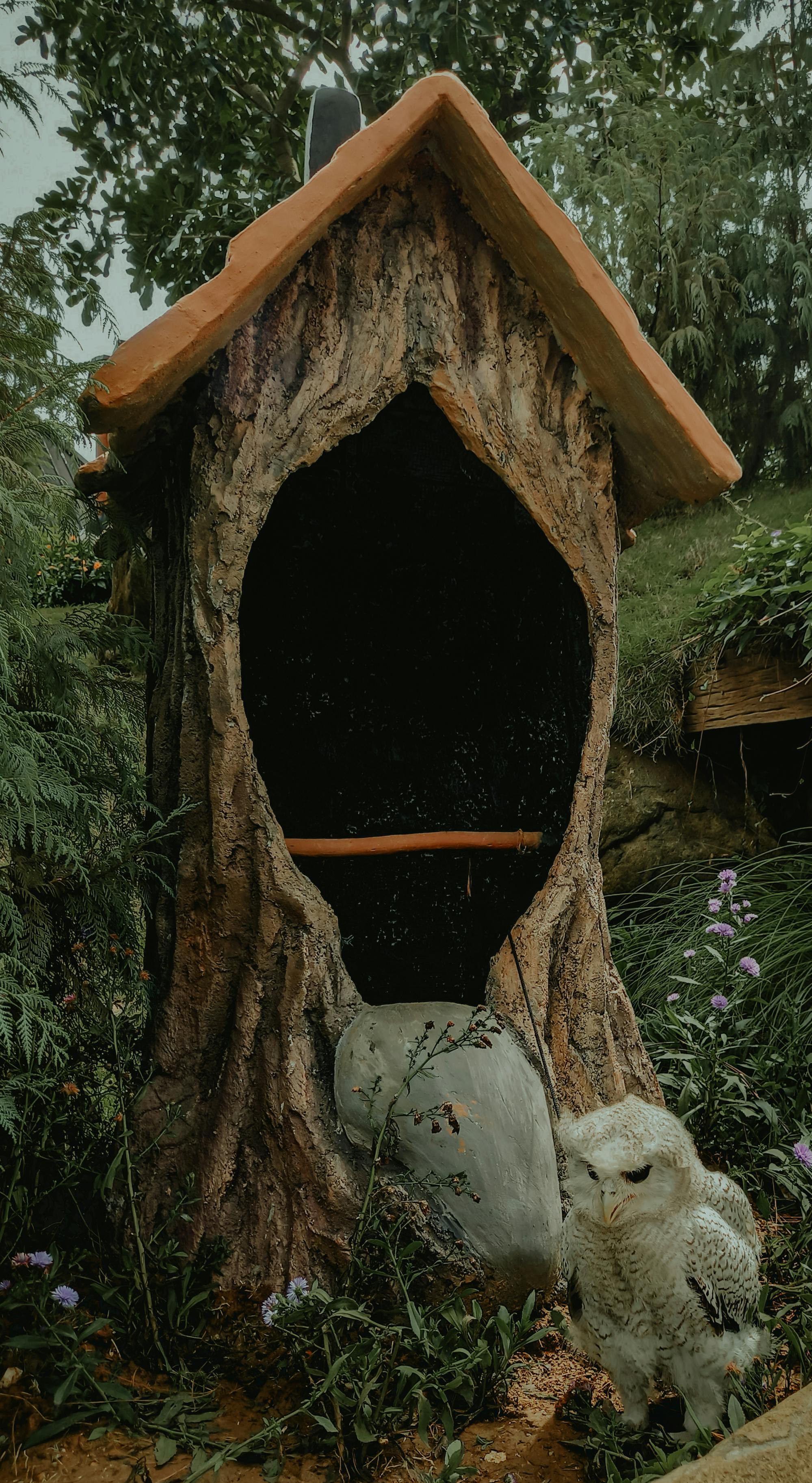 Tree Trunk Design Photos, Download The BEST Free Tree Trunk Design ...