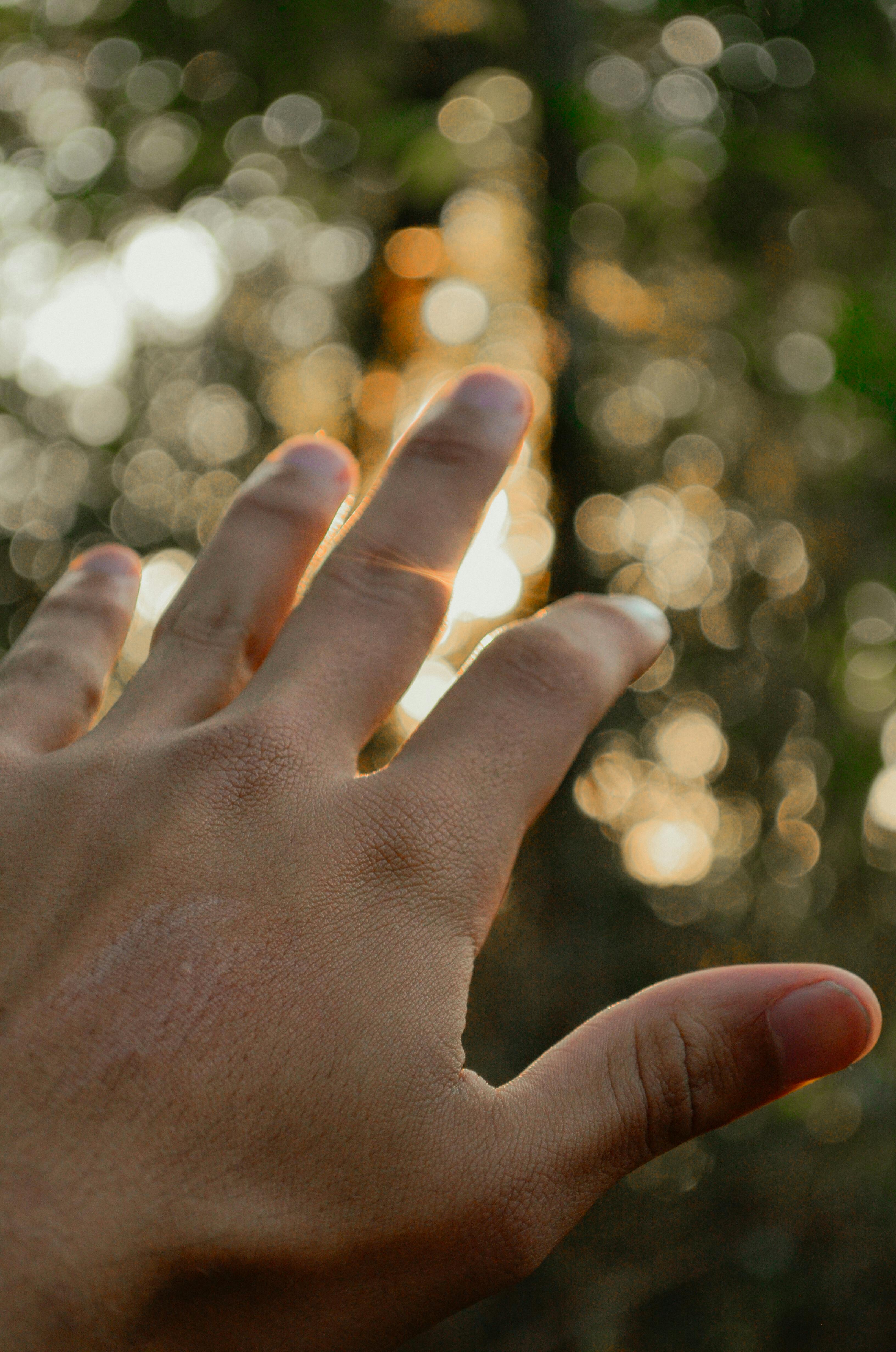 Close-Up Photography of Hand Near Window · Free Stock Photo