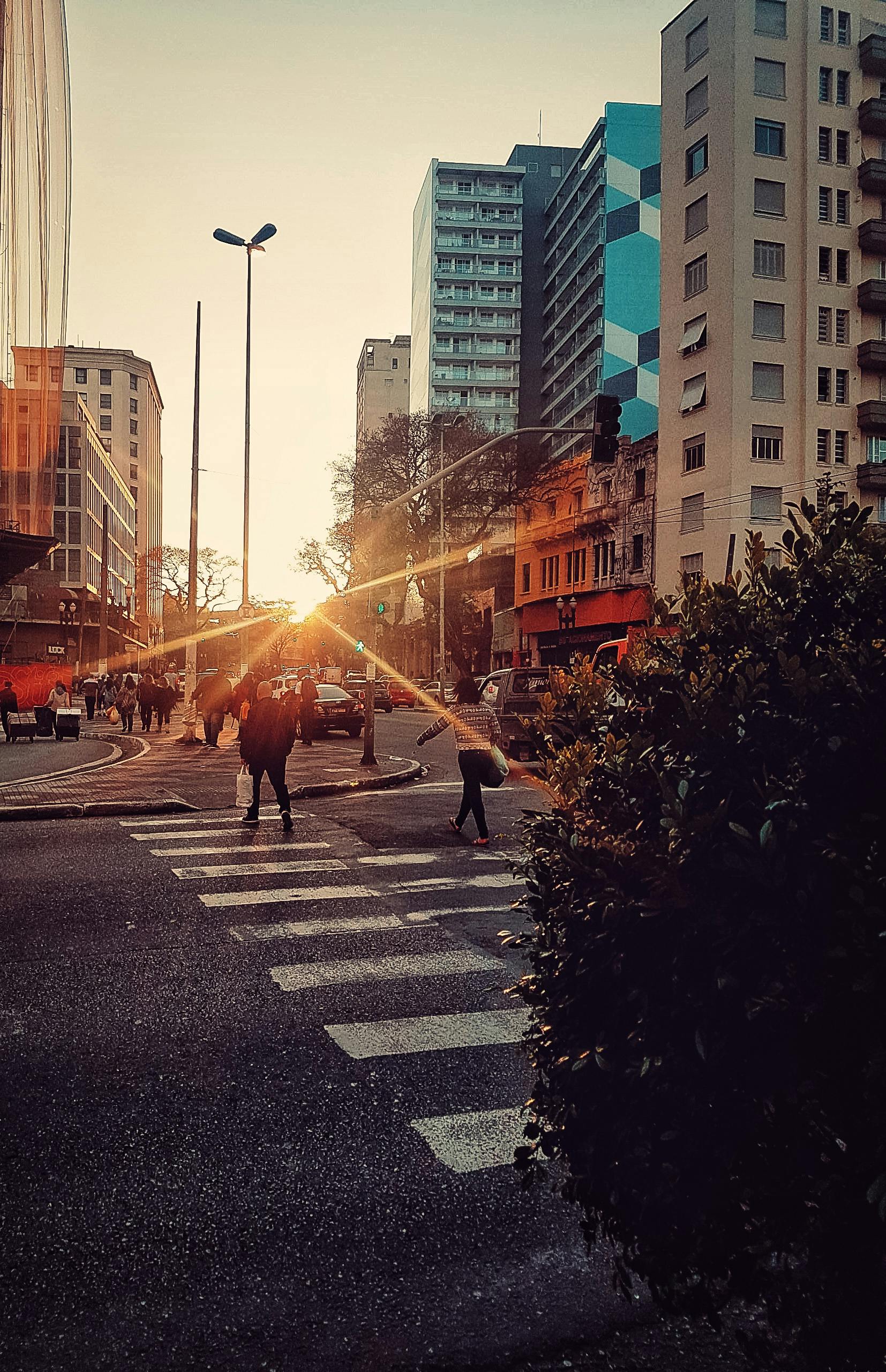 Free stock photo of backlight, business people, city
