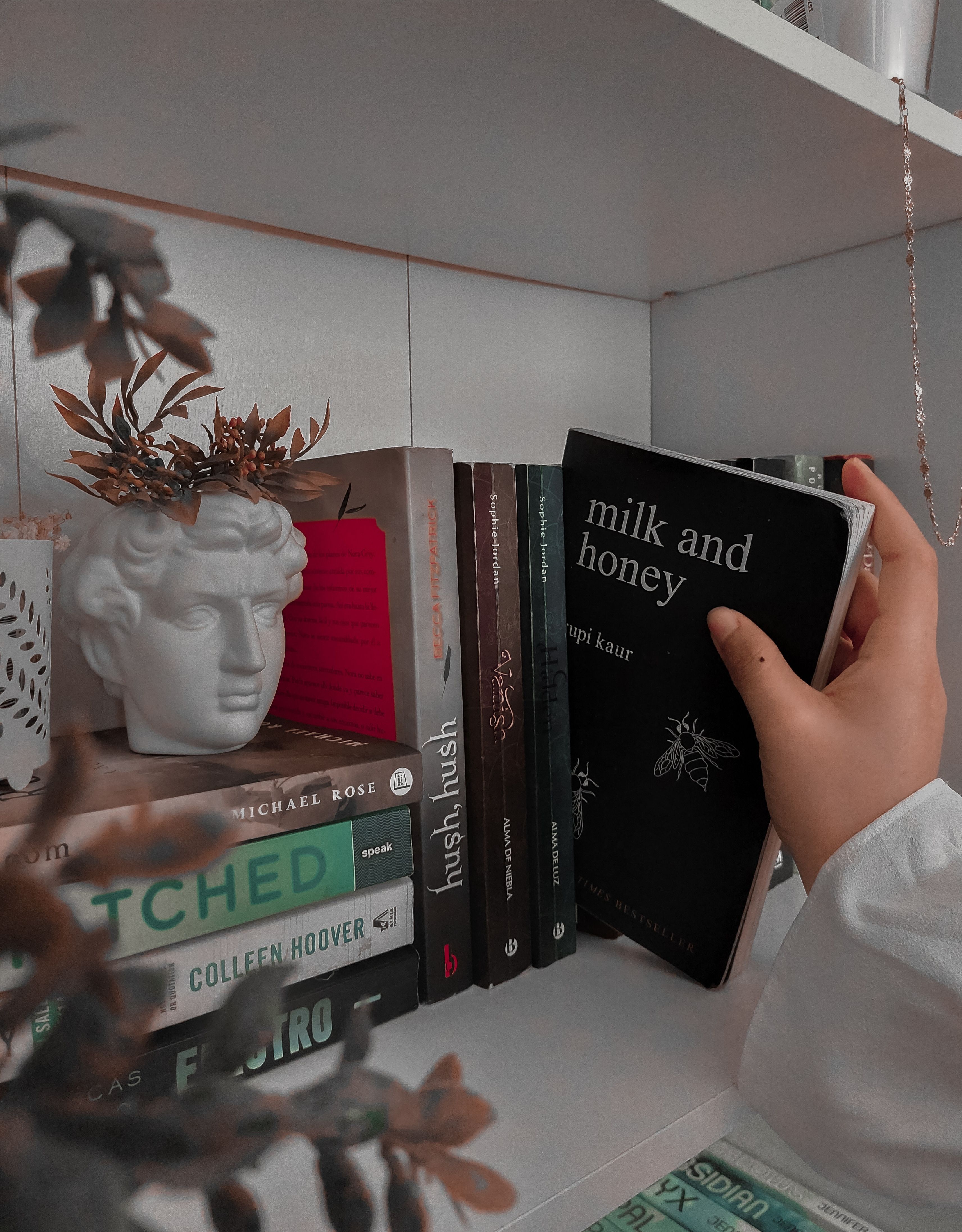 A person holding a book on a shelf · Free Stock Photo
