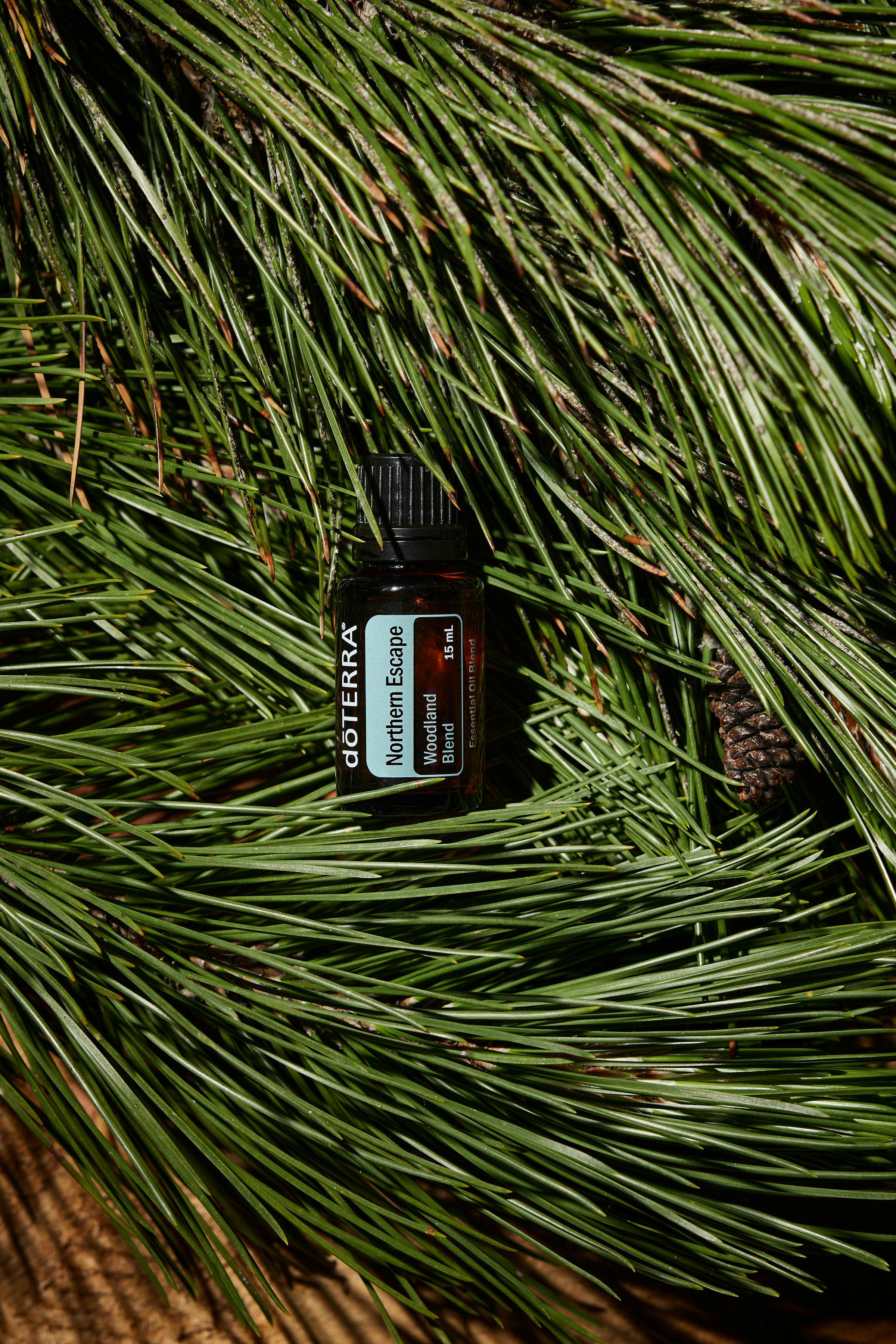 Merchandise Photos, Download The BEST Free Merchandise Stock Photos ...