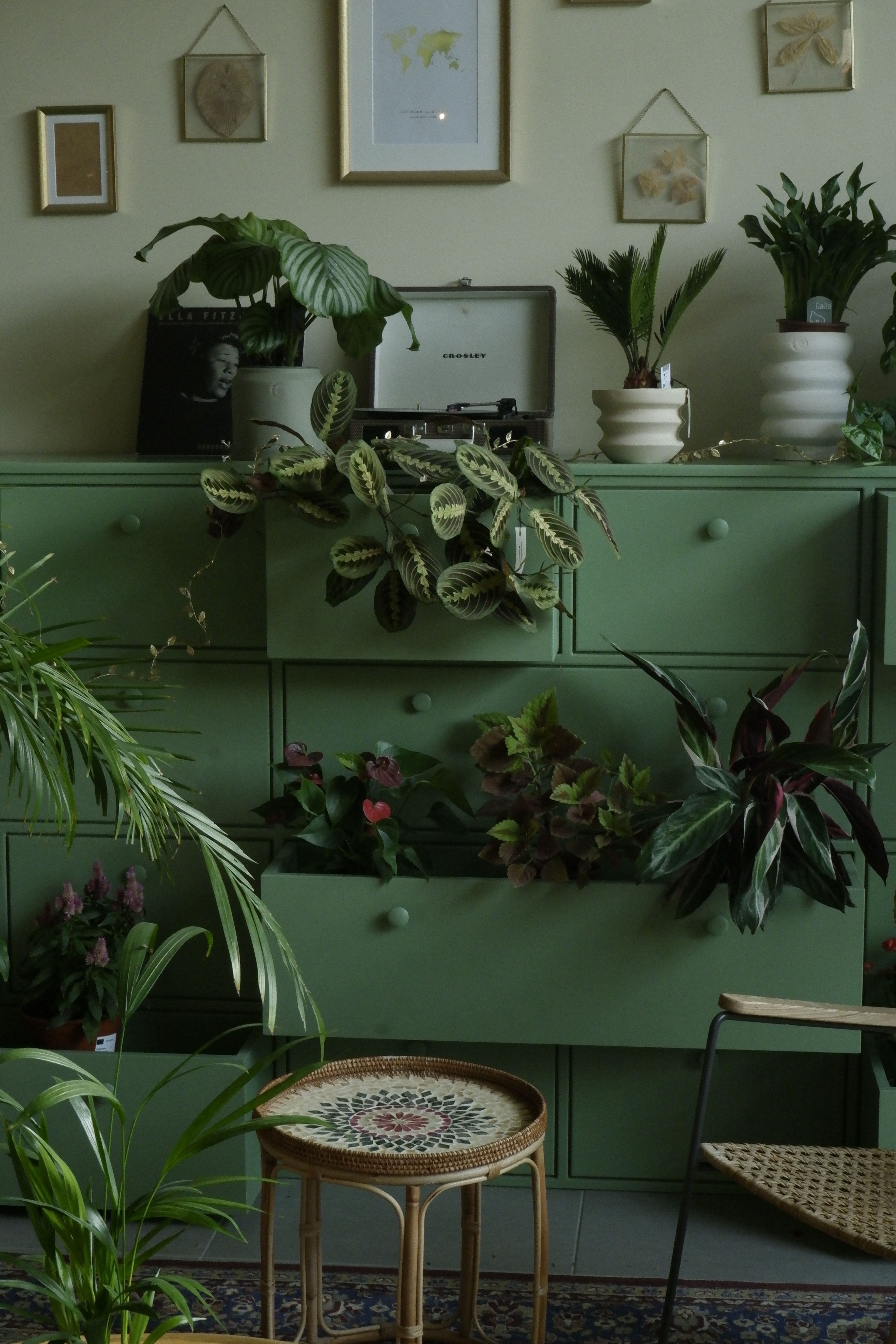 Green In Home Photos, Download The BEST Free Green In Home Stock Photos ...