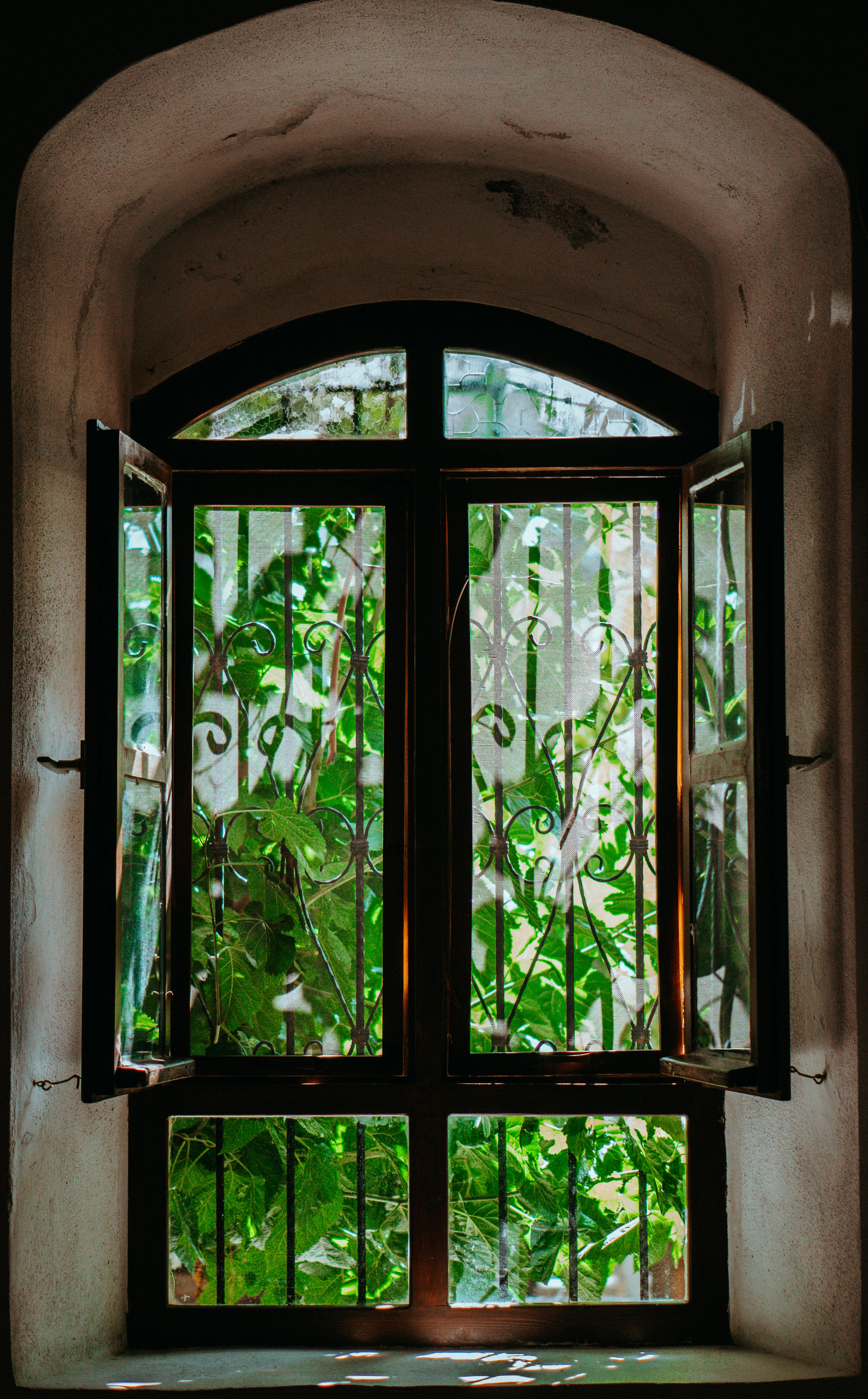 Opened Glass Window · Free Stock Photo