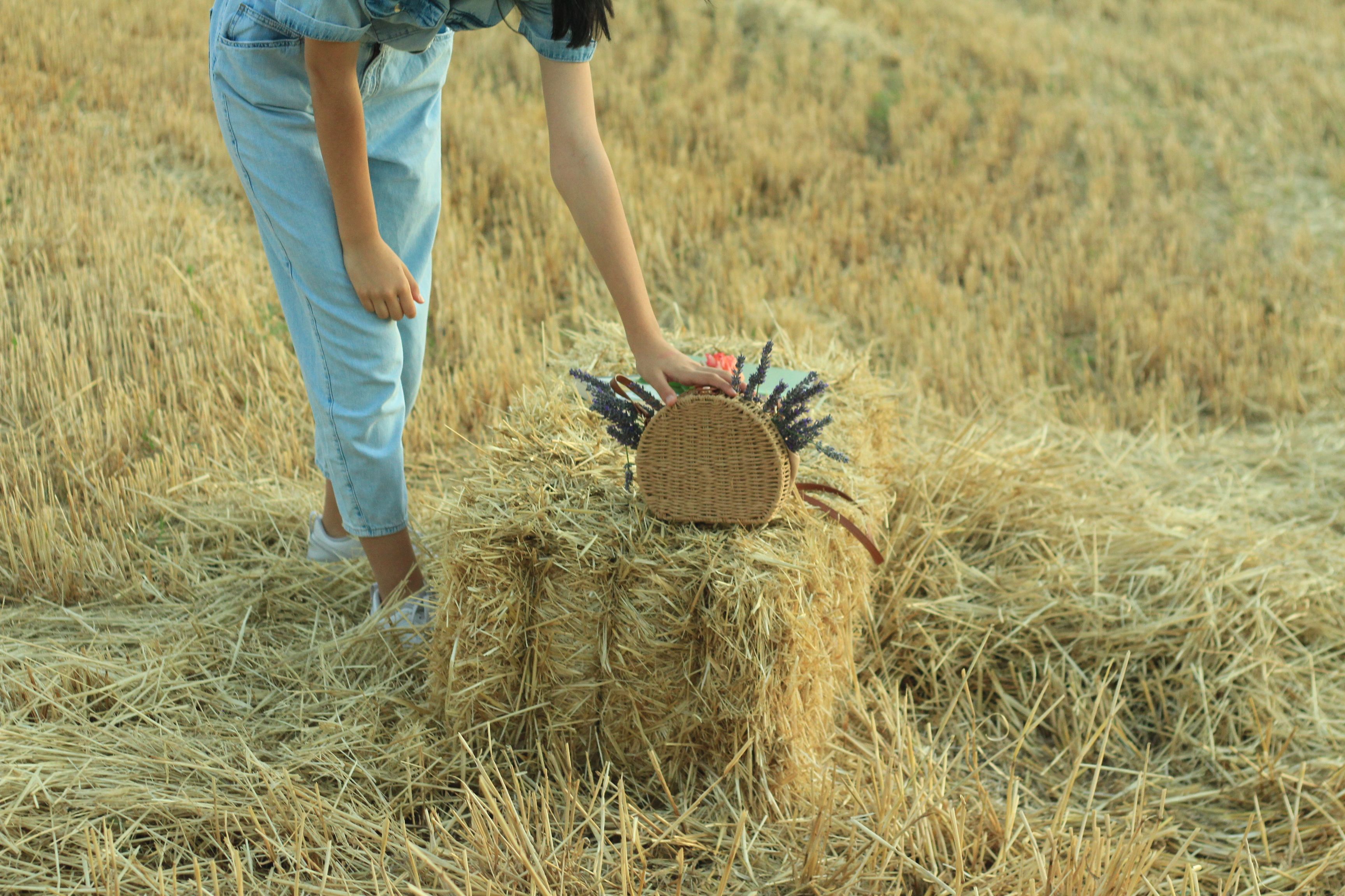 Mode Hay Photos, Download The BEST Free Mode Hay Stock Photos & HD Images