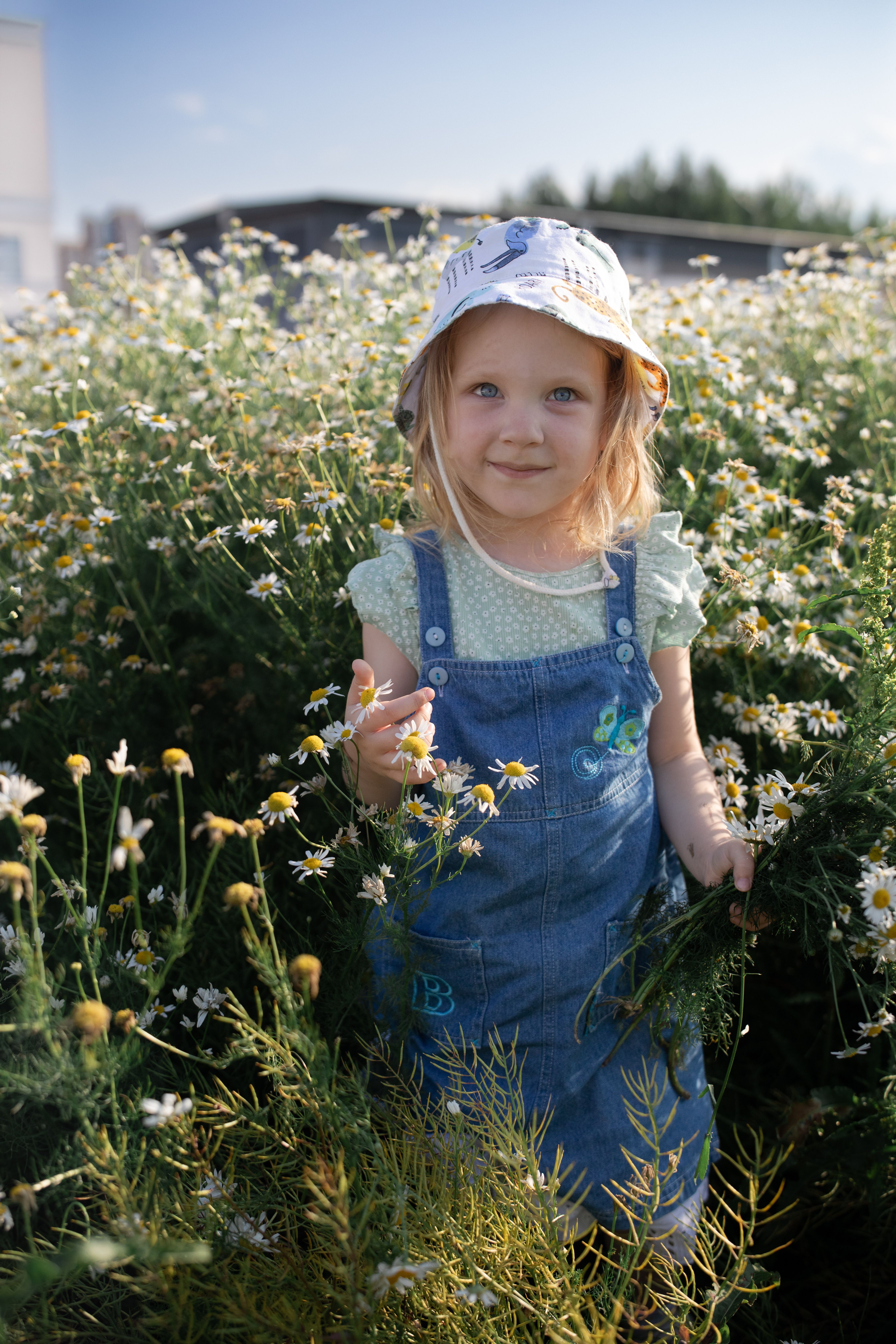 Girl Standing in Flowering Daisy · Free Stock Photo