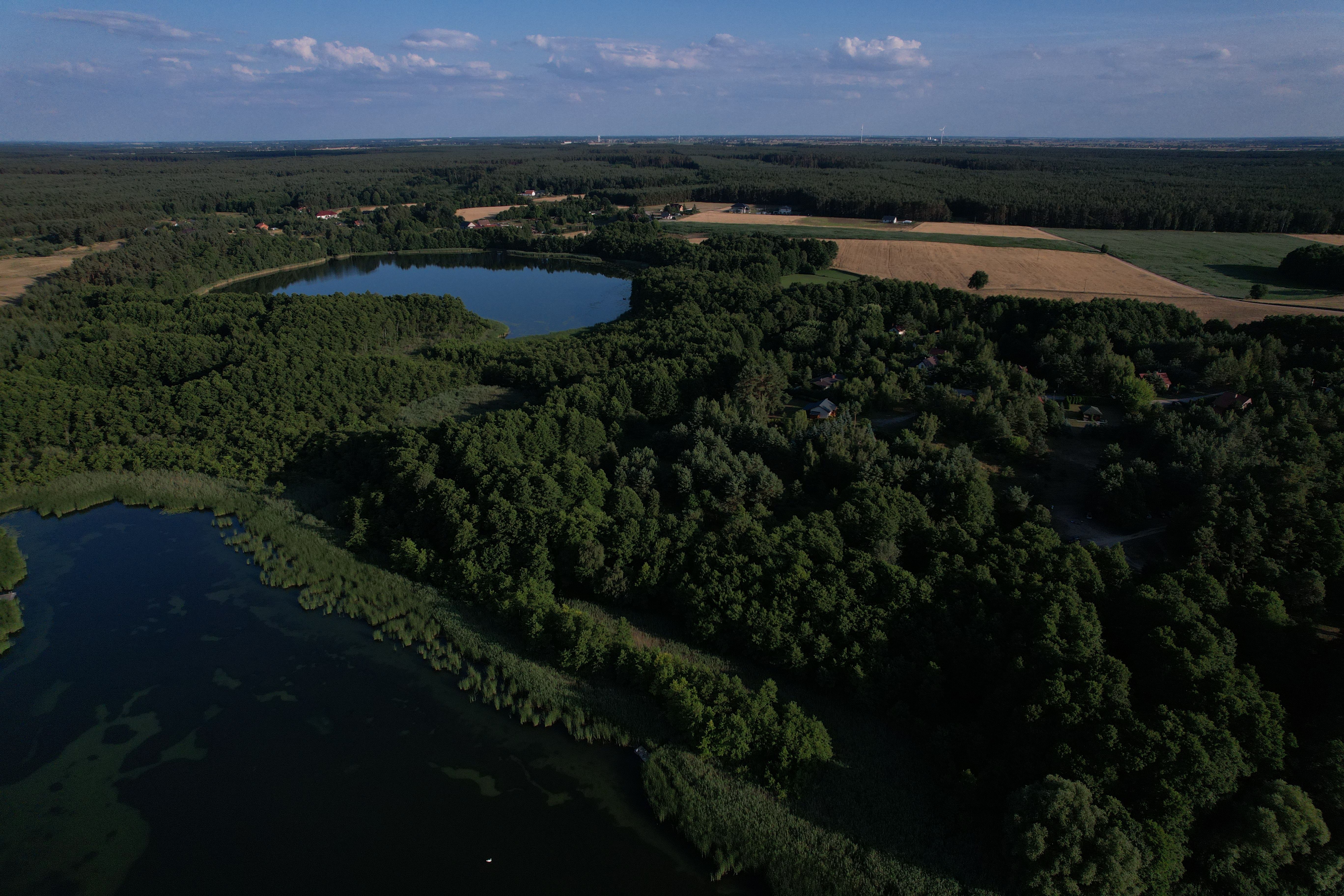 Aerial View of Forest, Lakes and Fields · Free Stock Photo