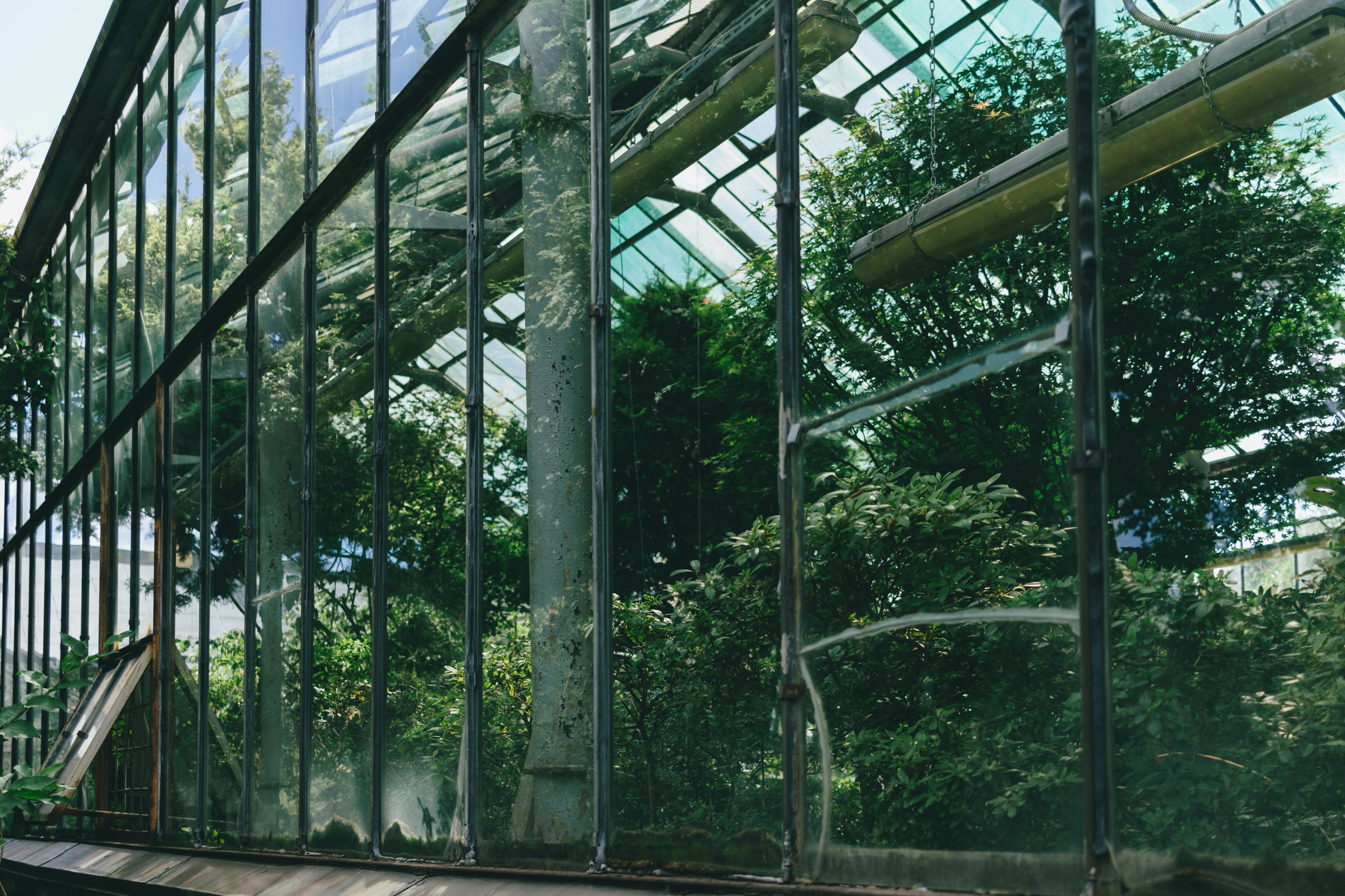 Greenhouse with Trees · Free Stock Photo