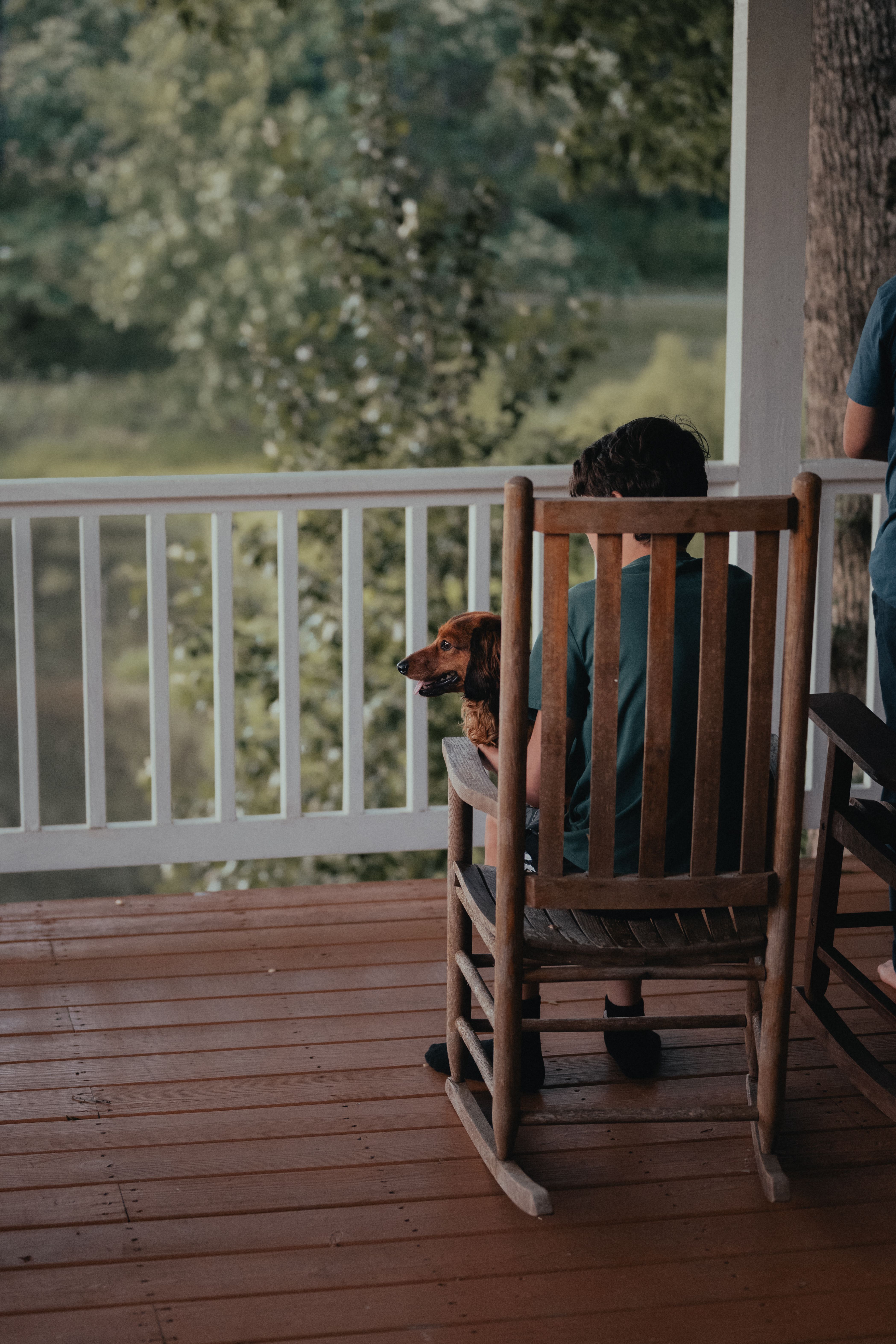 Porch Salivat Photos, Download The BEST Free Porch Salivat Stock Photos ...