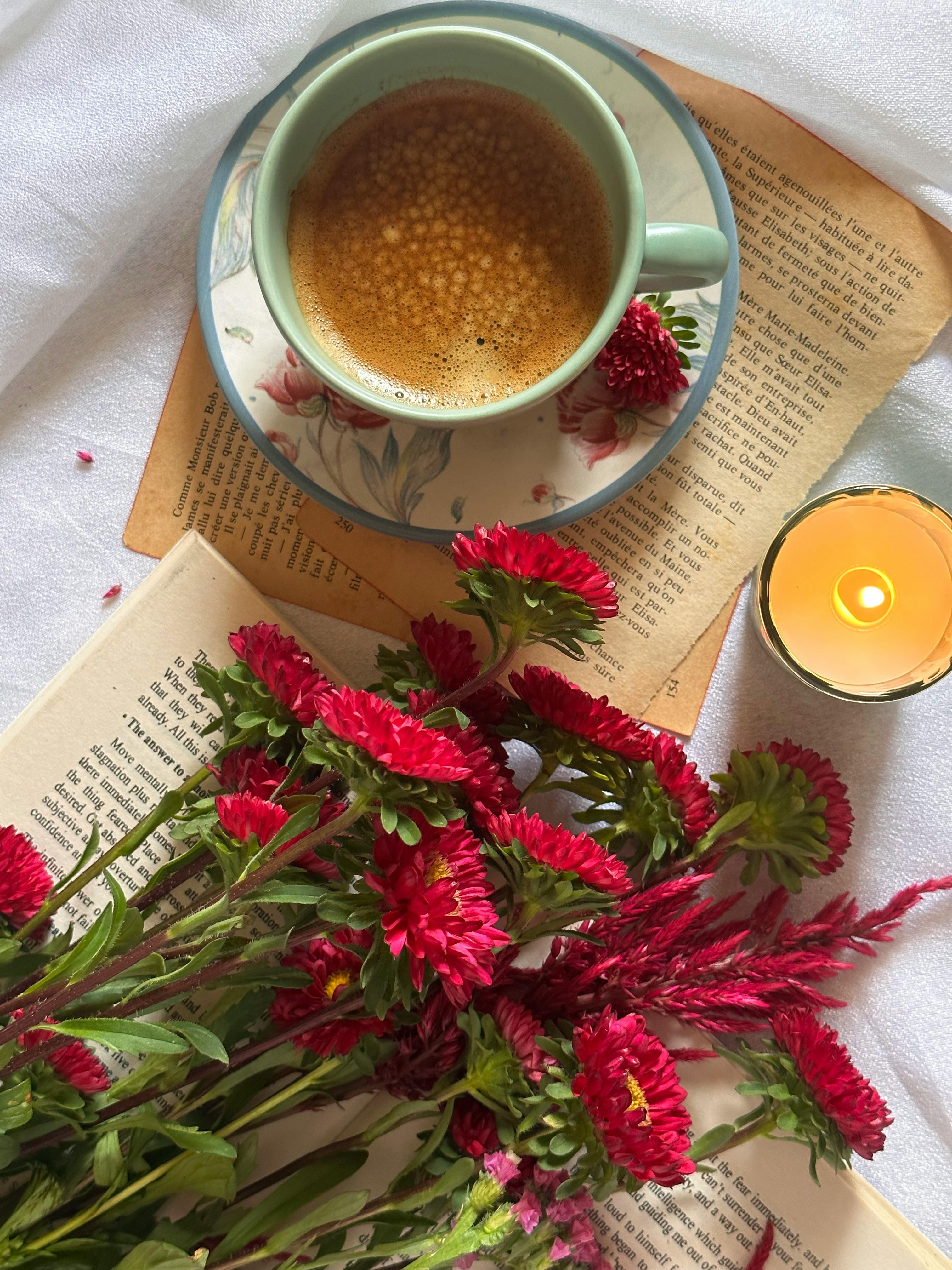 Plate Pages Photos, Download The BEST Free Plate Pages Stock Photos ...