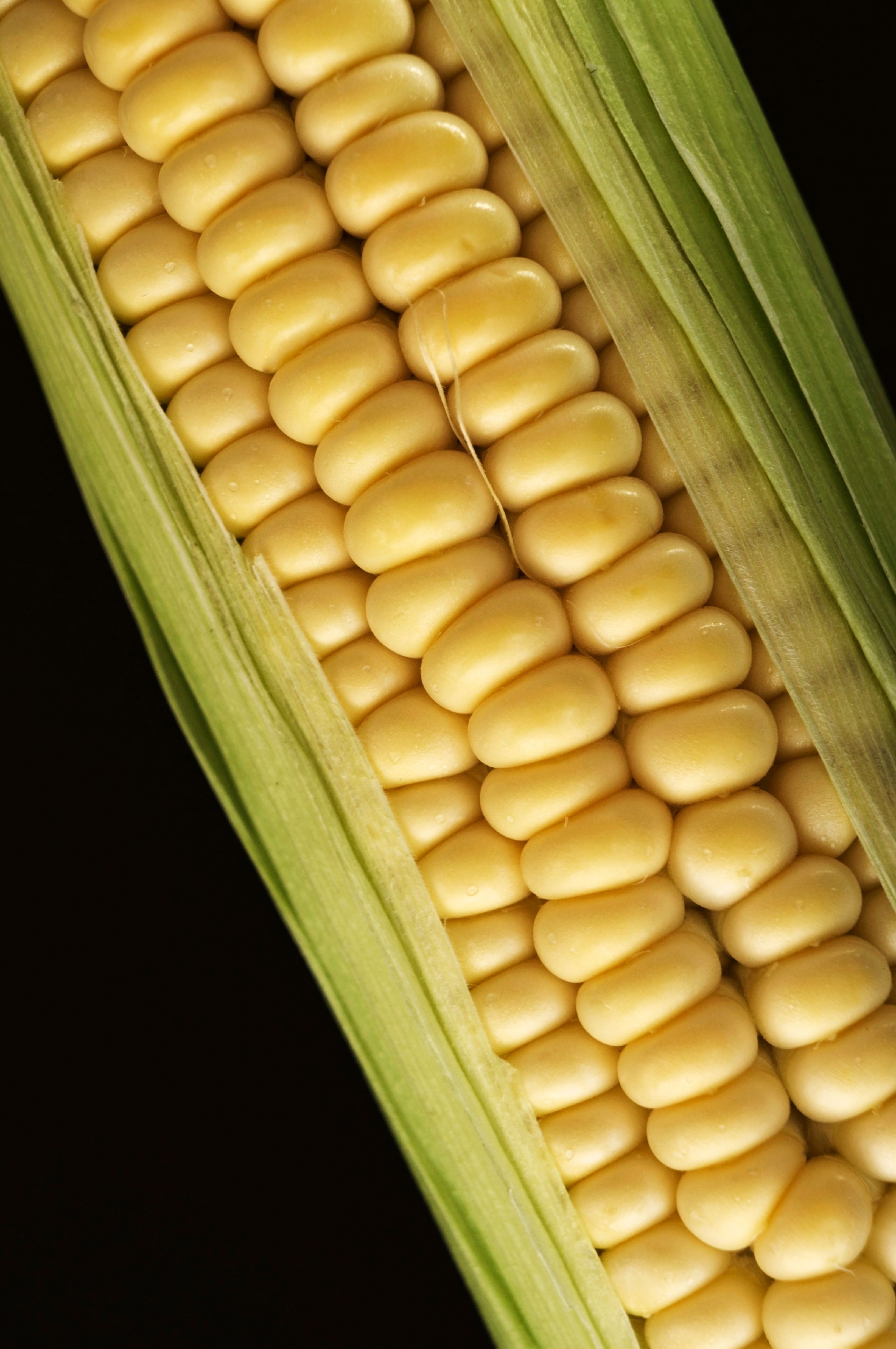 Fresh Corn in Close Up · Free Stock Photo