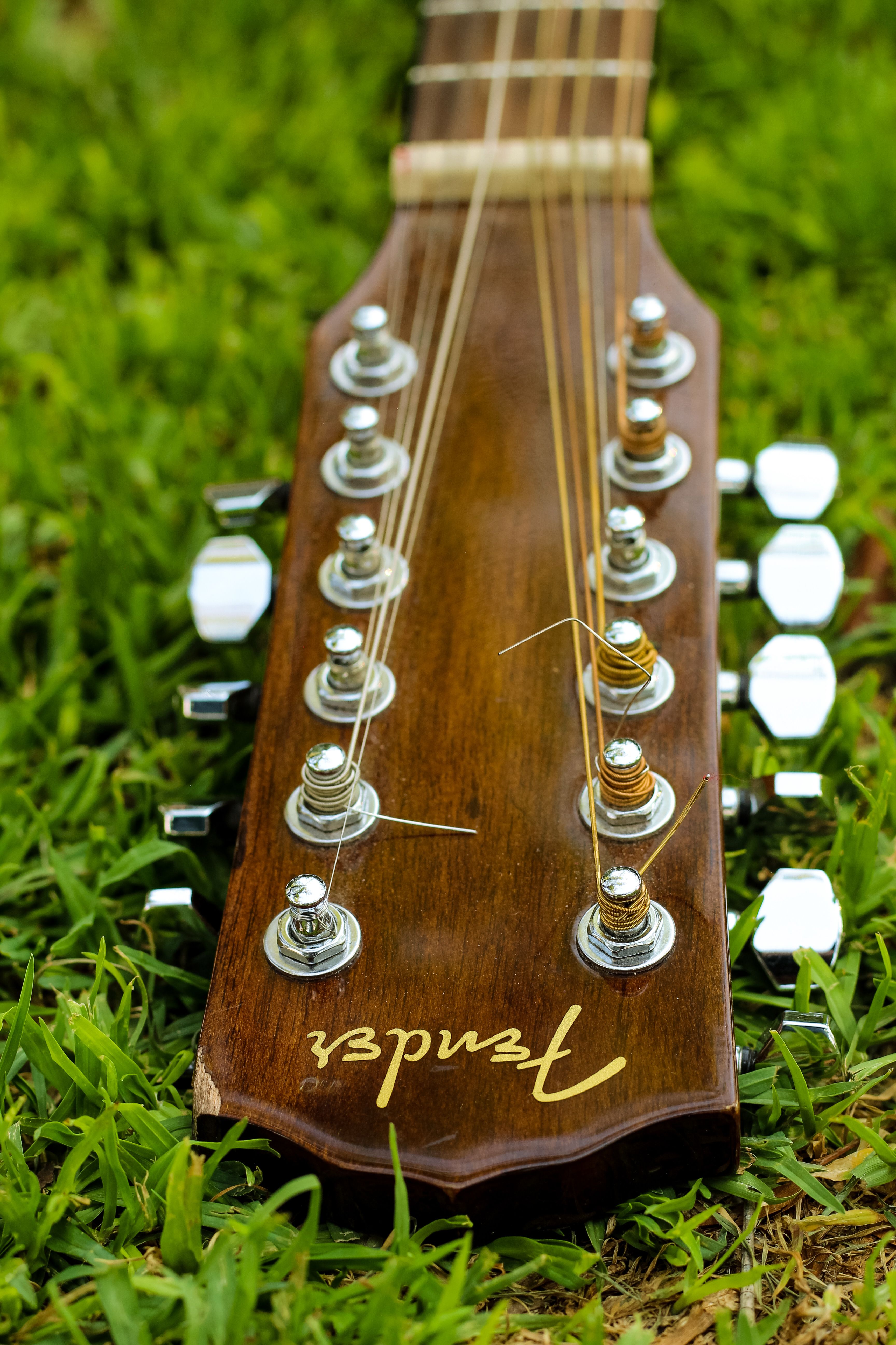 Guitar Pics Photos, Download The BEST Free Guitar Pics Stock Photos ...