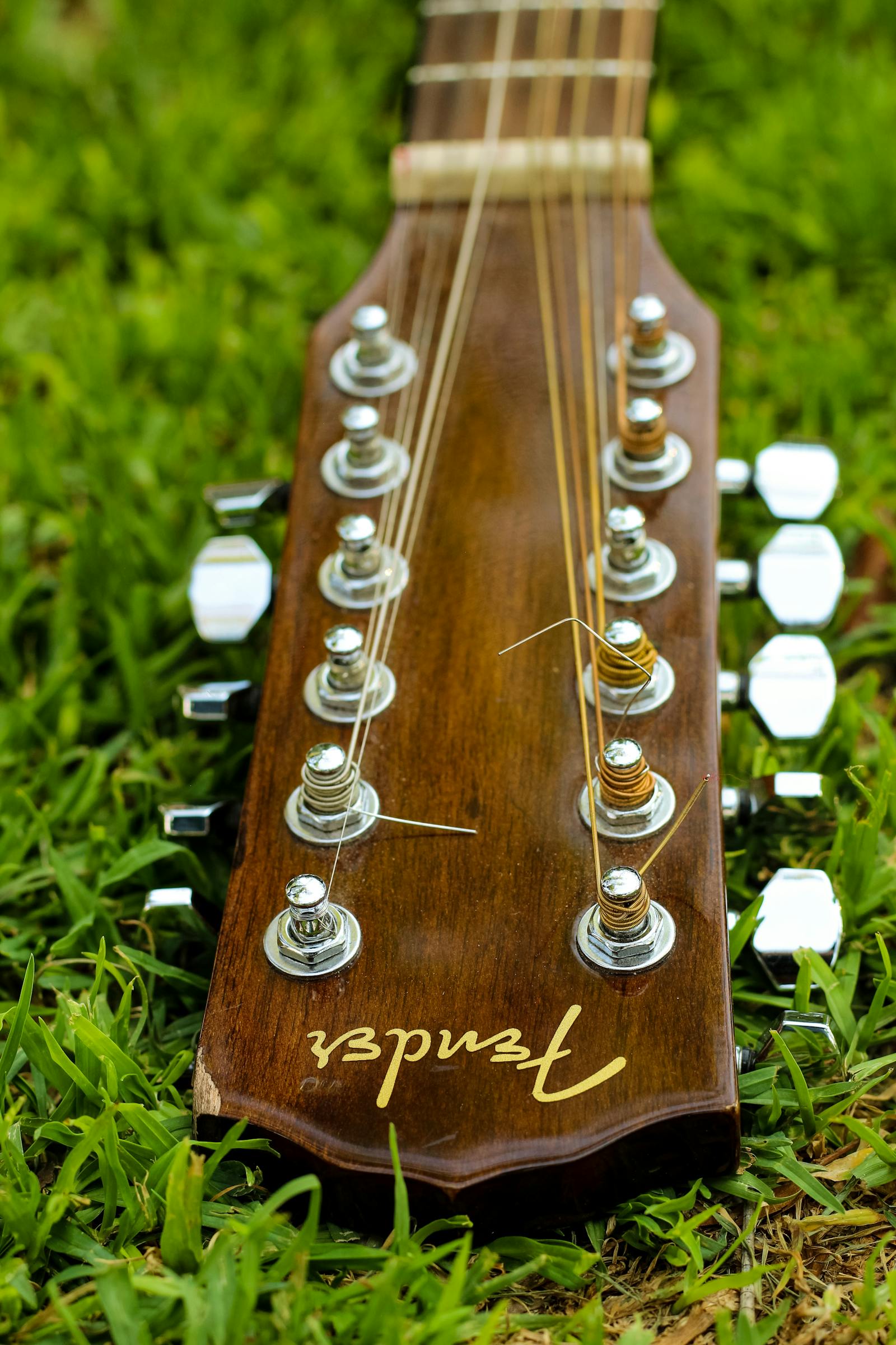 Guitar Pics Photos, Download The BEST Free Guitar Pics Stock Photos ...