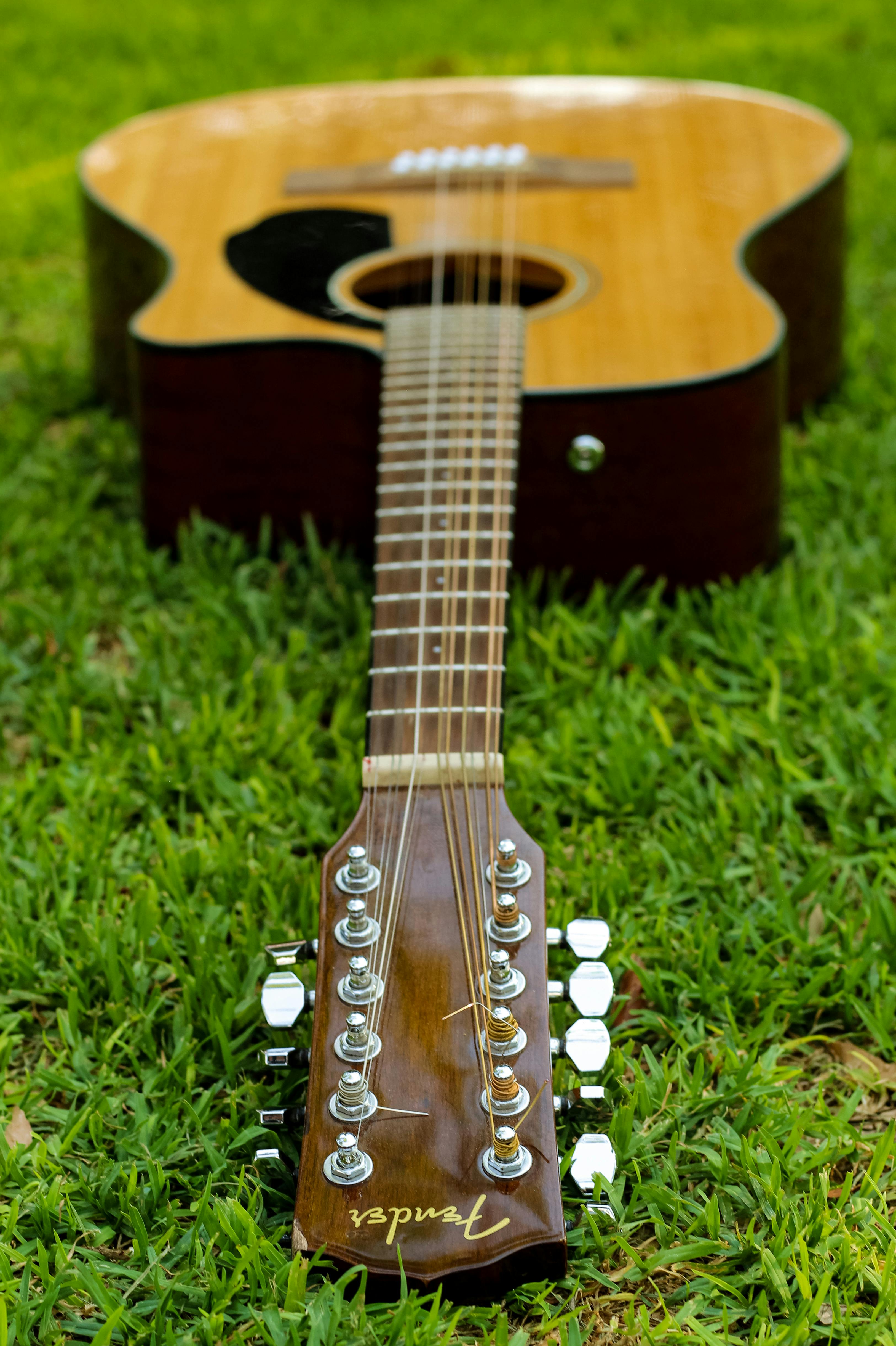 Guitar Pics Photos, Download The BEST Free Guitar Pics Stock Photos ...