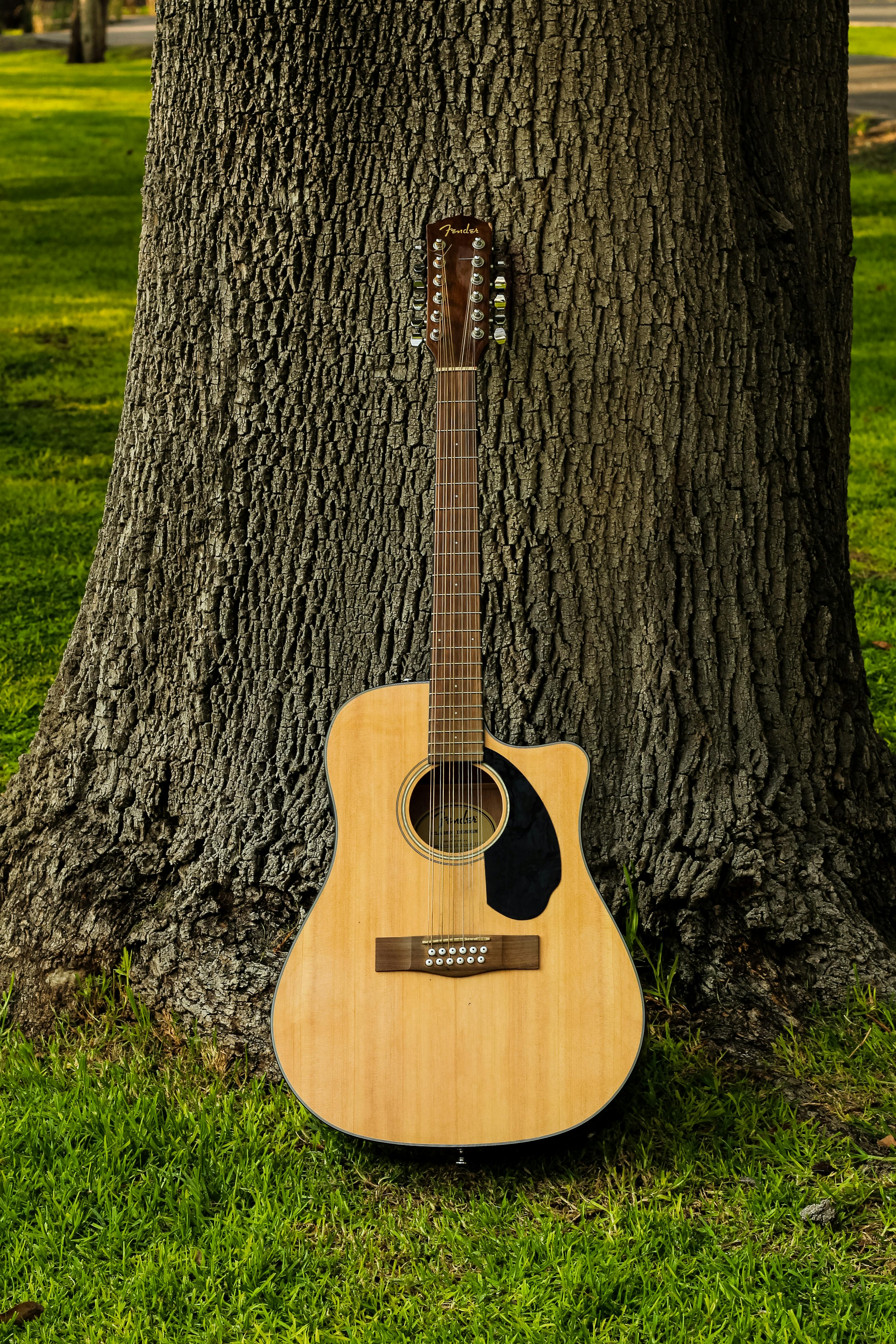 Wooden Acoustic Guitar Leaning on Tree · Free Stock Photo
