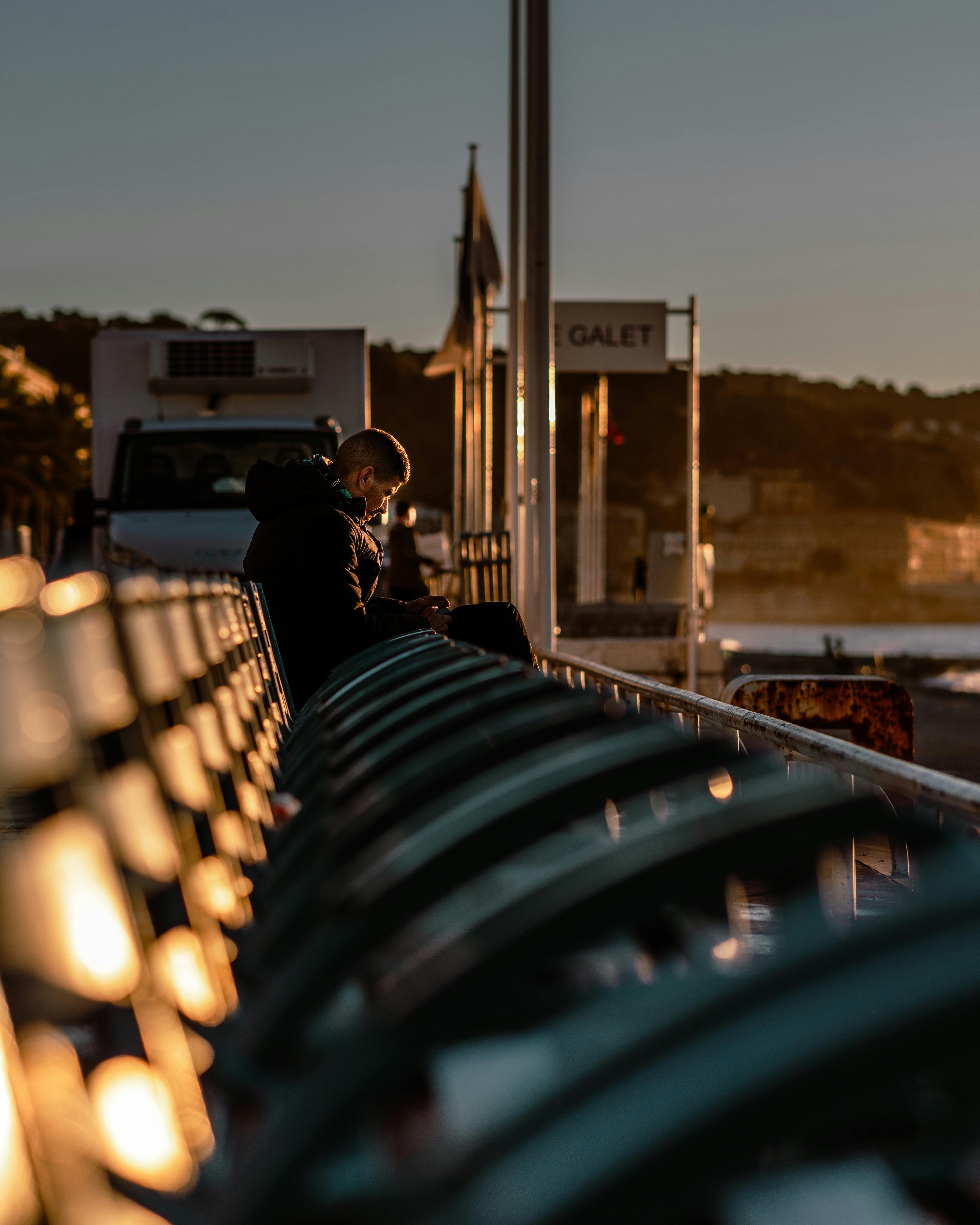 Trunck Photos, Download The BEST Free Trunck Stock Photos & HD Images