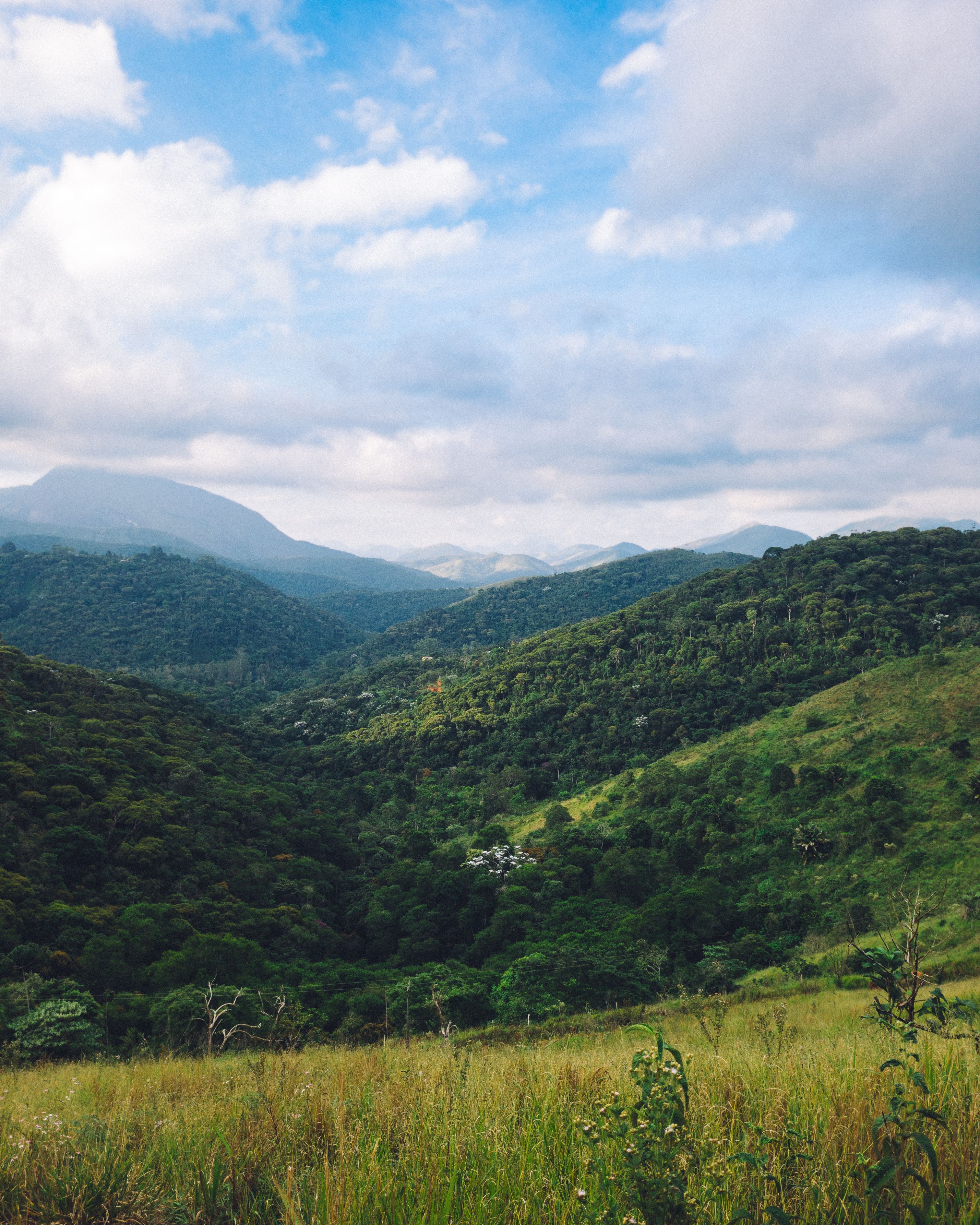 Forested Scenic Valley · Free Stock Photo