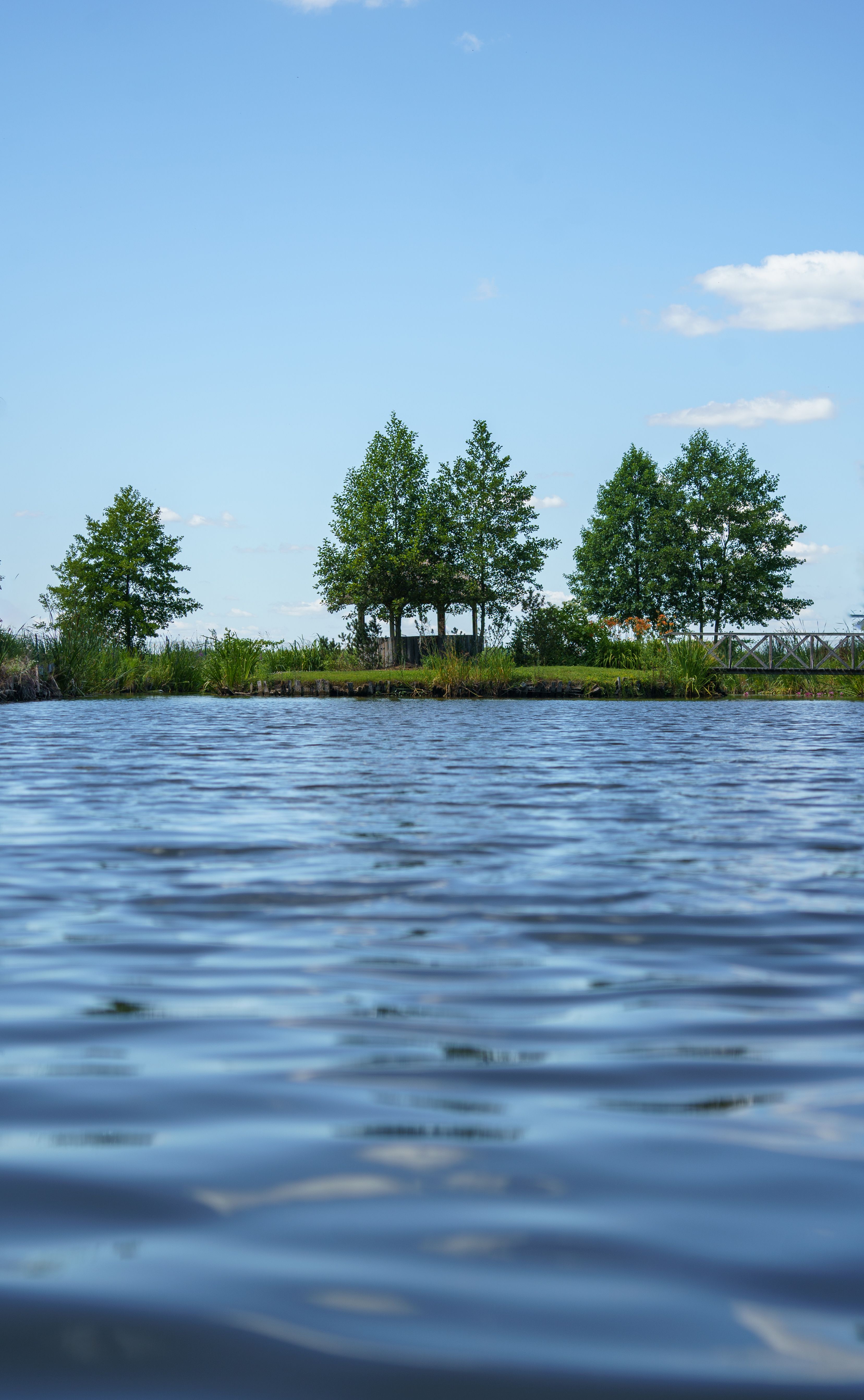 Trees on a Lakeshore Seen from Water Surface · Free Stock Photo
