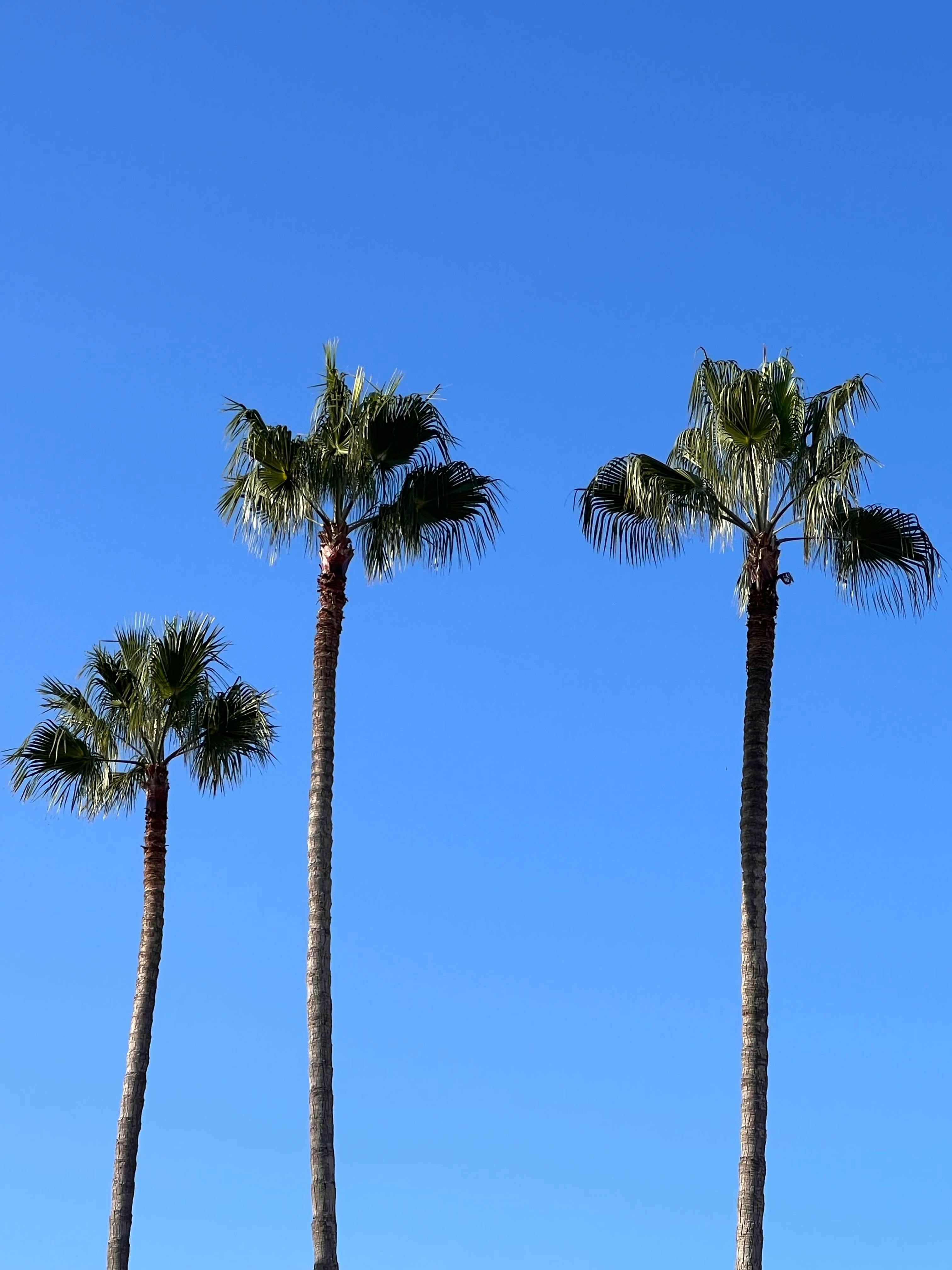 Sky Simple Wallpaper Photos, Download The BEST Free Sky Simple ...