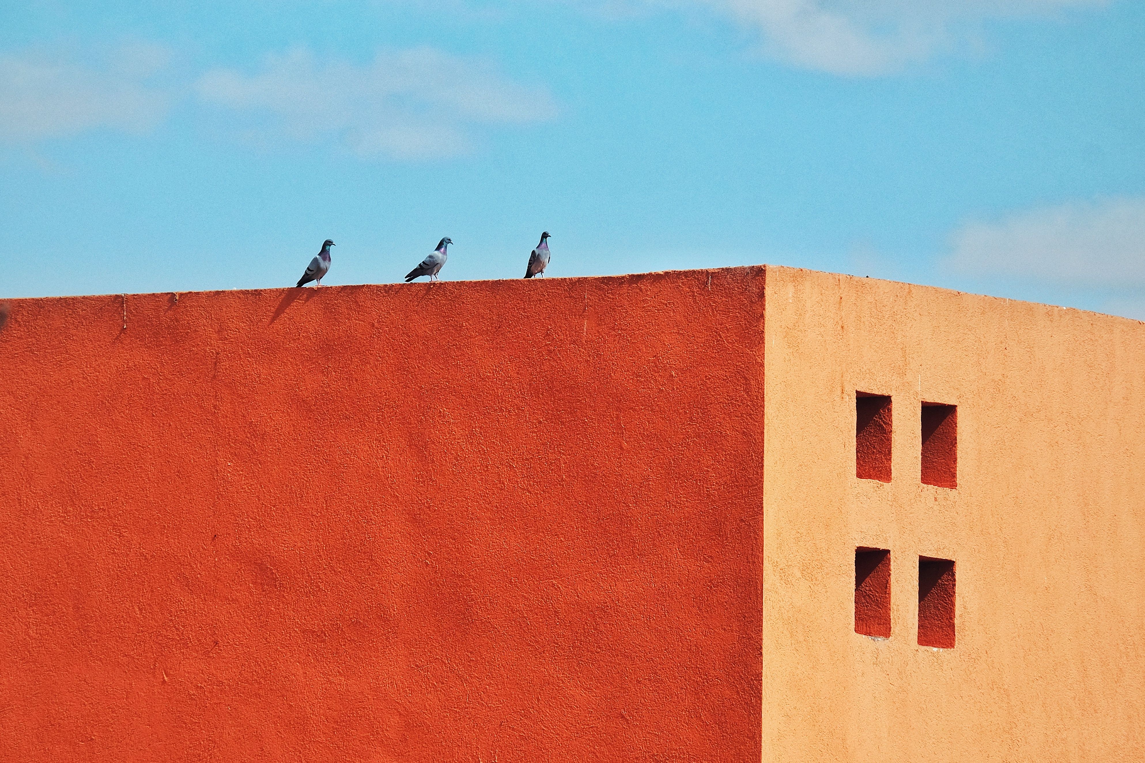 Ancient Adobe House Photos, Download The BEST Free Ancient Adobe House ...