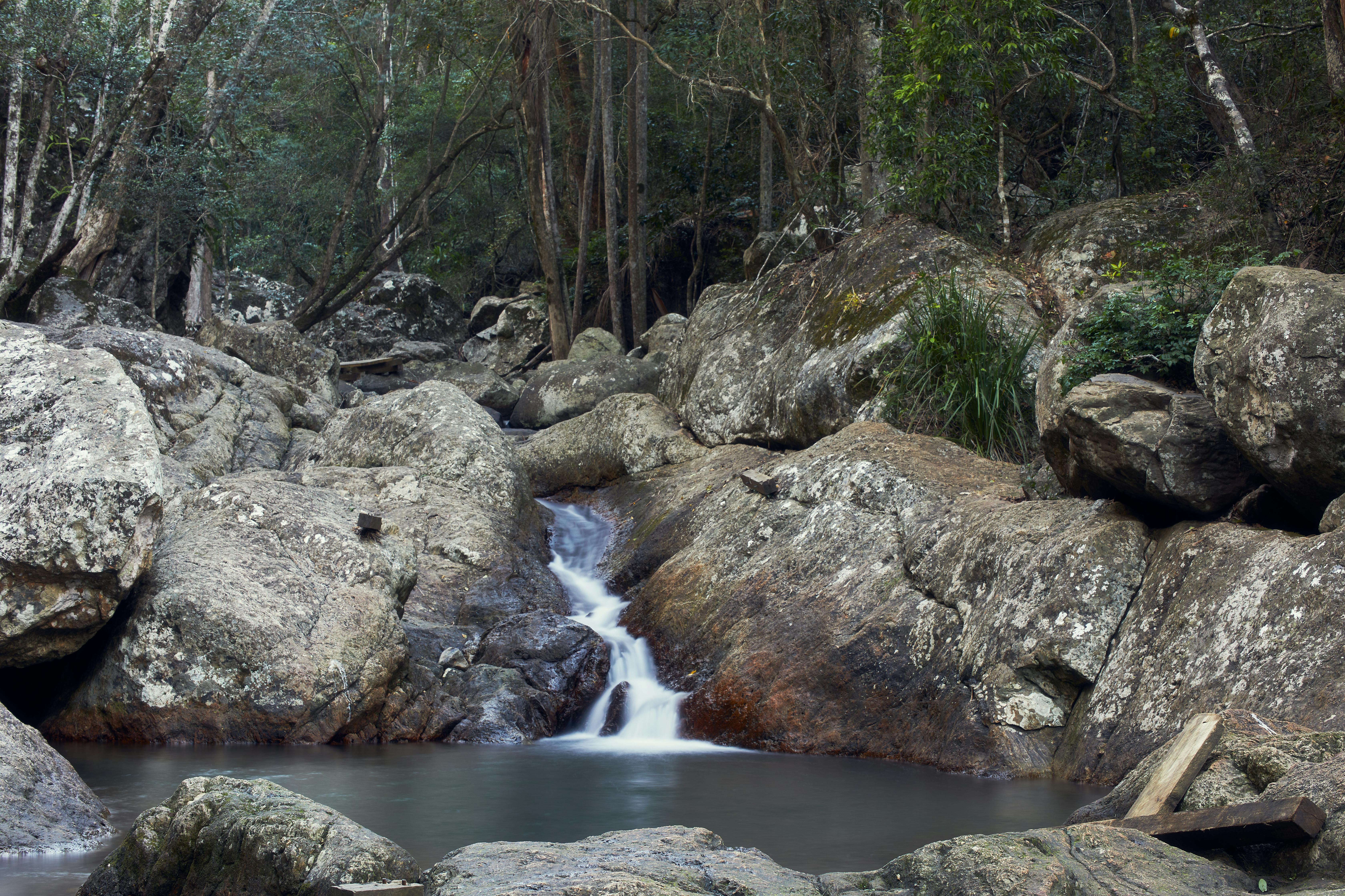 Rocks and Stream in a Forest · Free Stock Photo