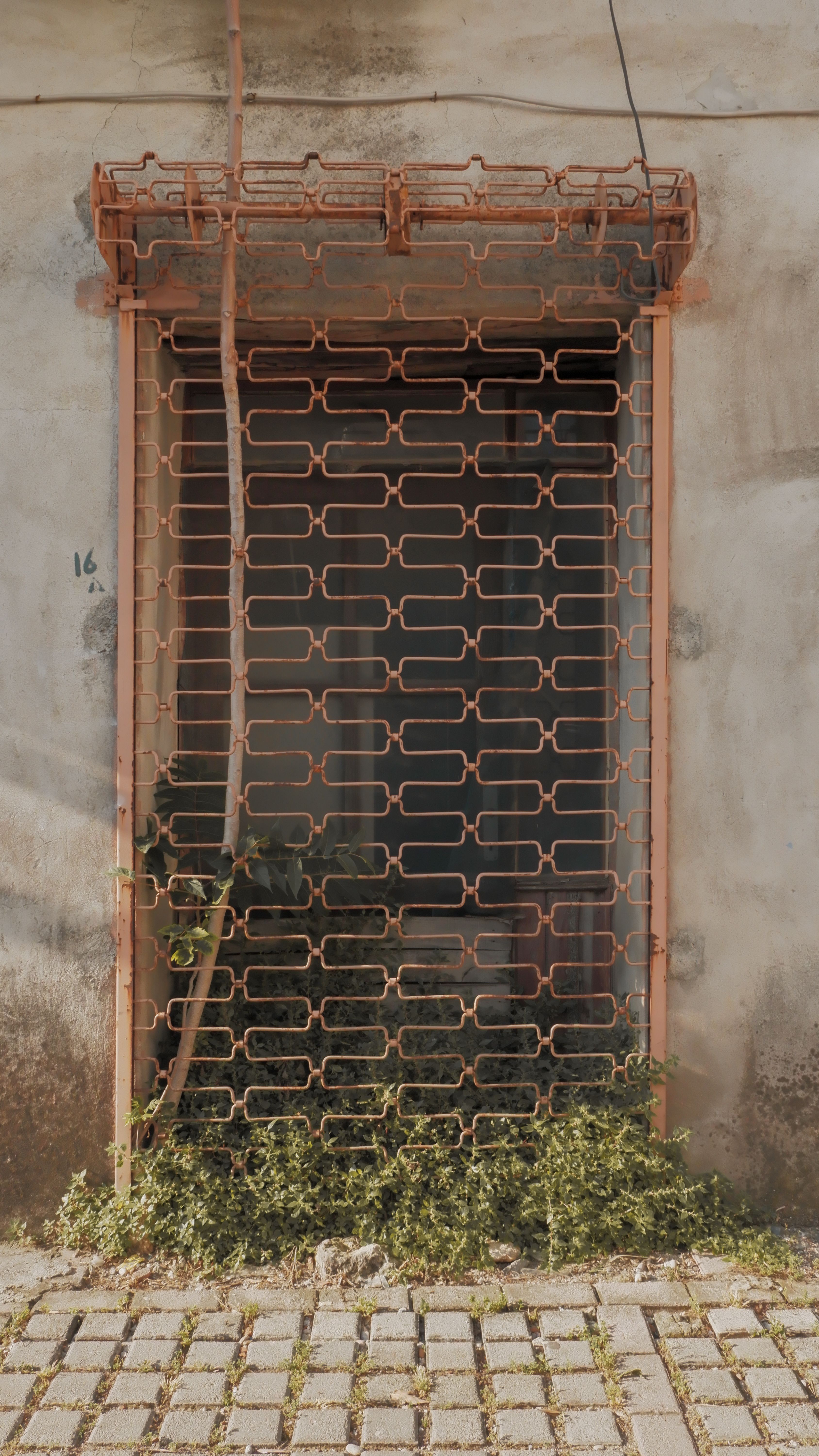 Overgrown Pavement Photos, Download The BEST Free Overgrown Pavement ...