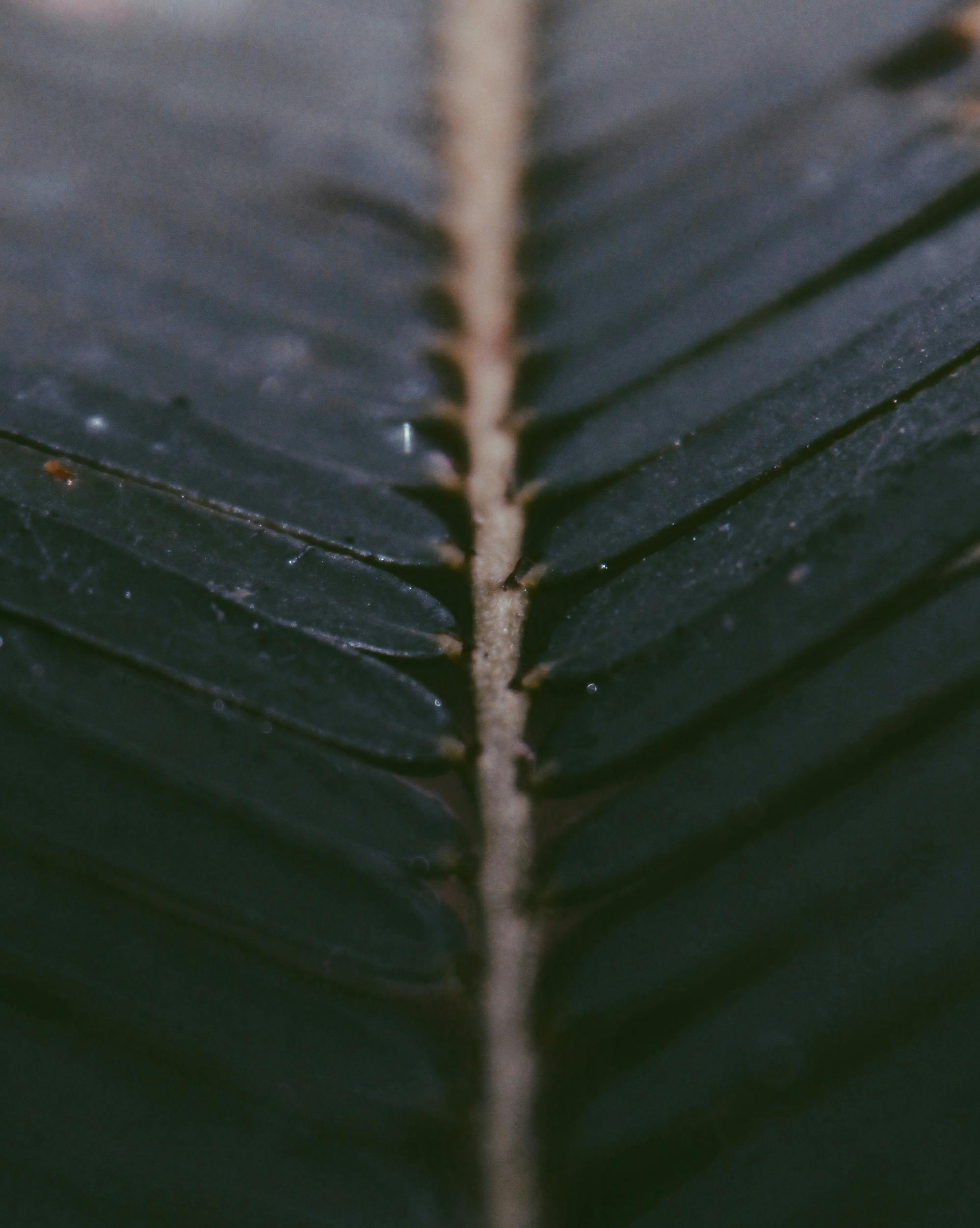 Teal Photos, Download The BEST Free Teal Stock Photos & HD Images