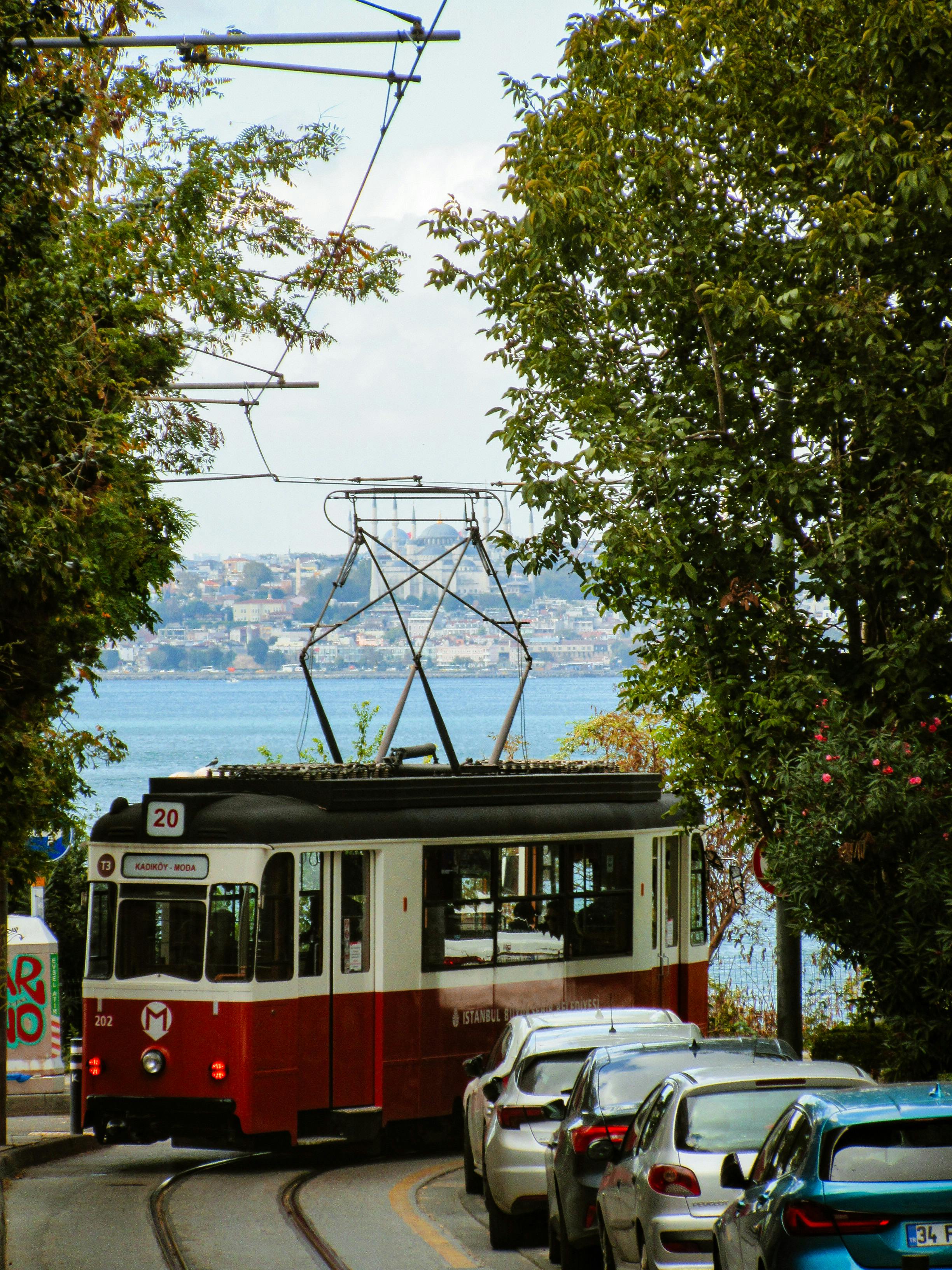 Miami Cars Photos, Download The BEST Free Miami Cars Stock Photos & HD ...