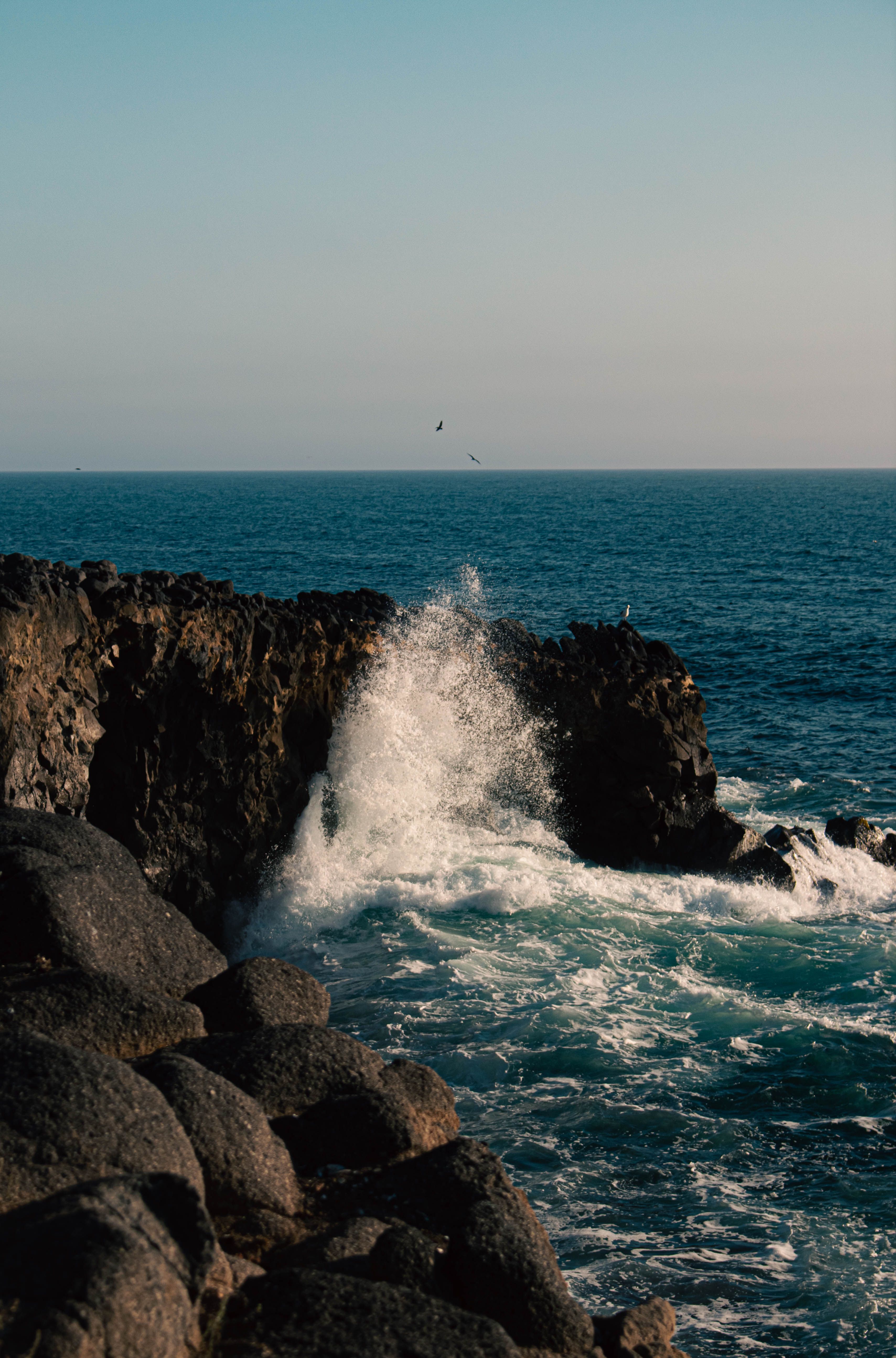 Sea Waves Breaking against the Cliff · Free Stock Photo