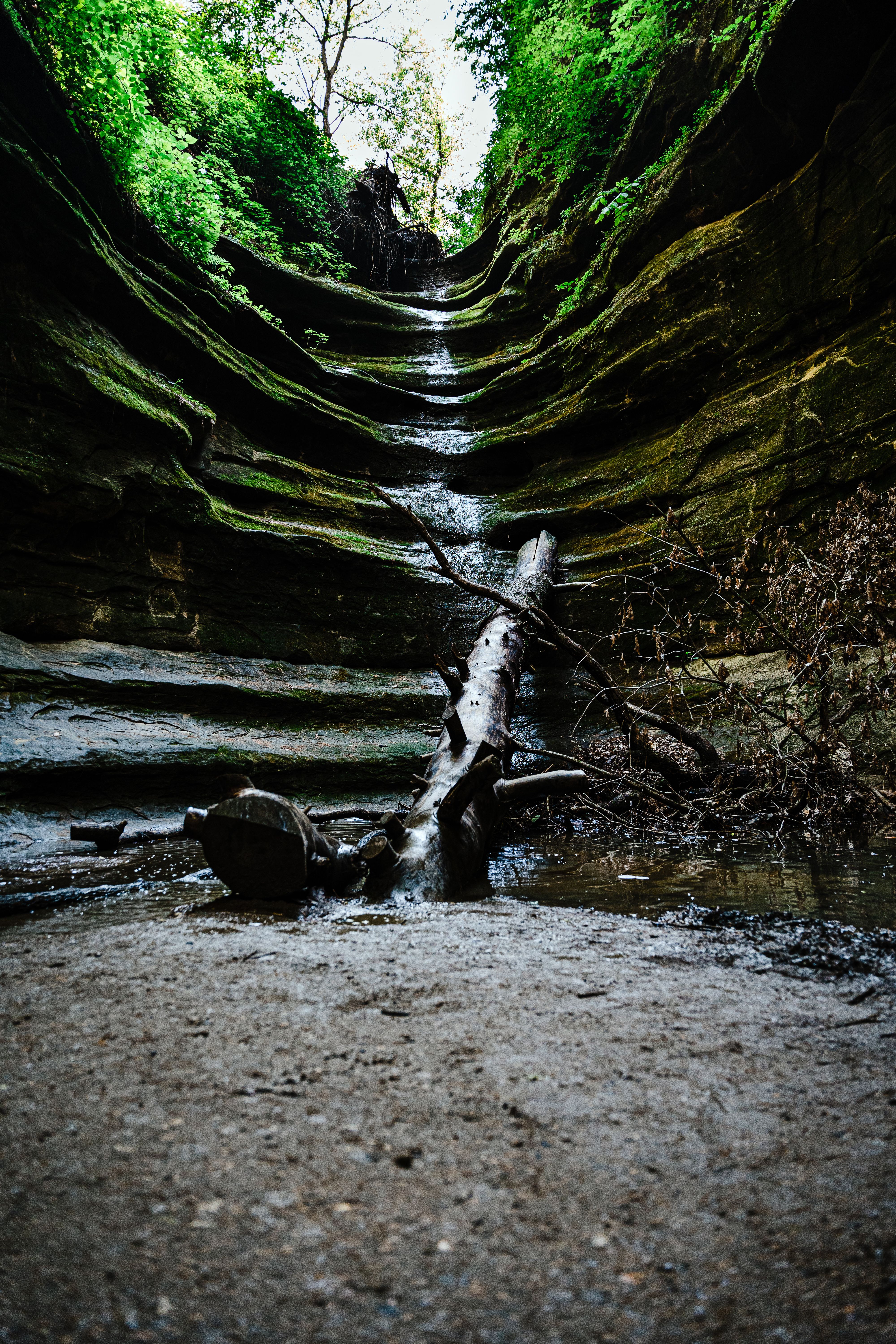 Tree Trunk under Cascades on Rocks · Free Stock Photo
