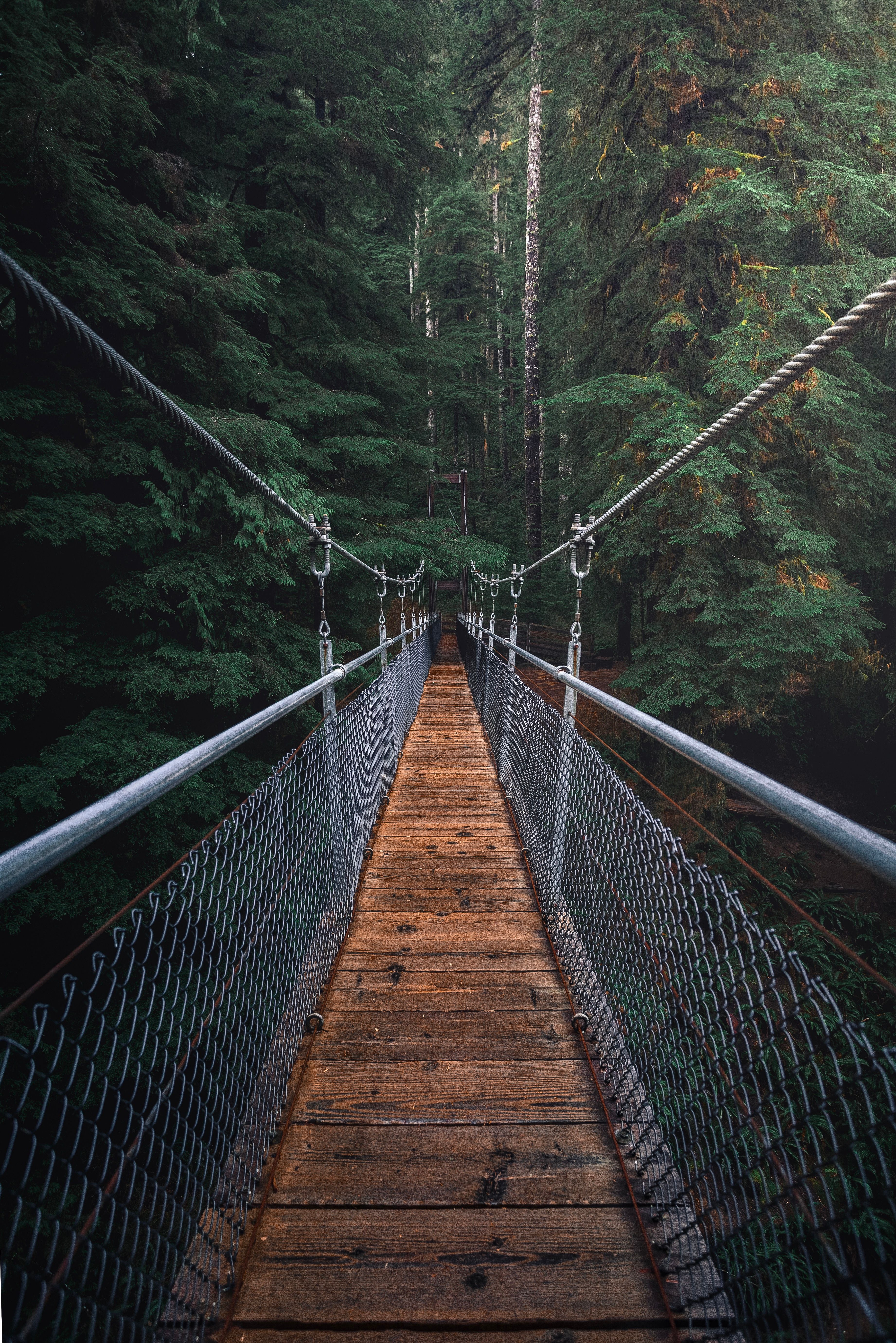 1000+ Interesting Bridge Photos · Pexels · Free Stock Photos